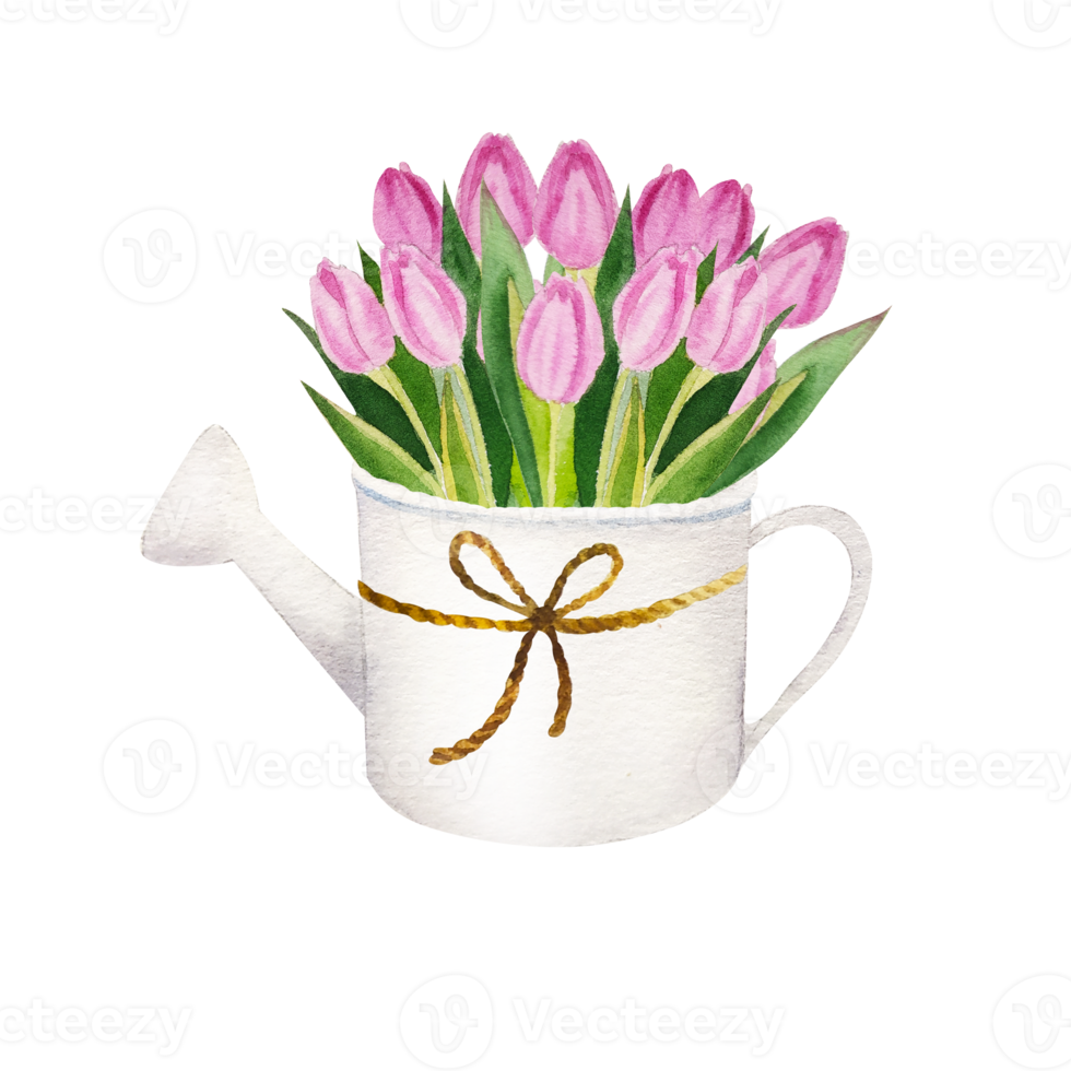 Watercolor spring pink tulips flowers 12375332 PNG