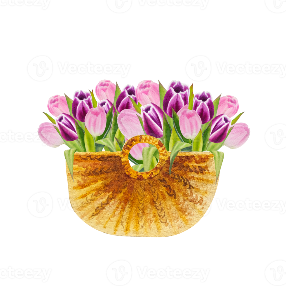 Watercolor spring pink tulips flowers 12375427 PNG