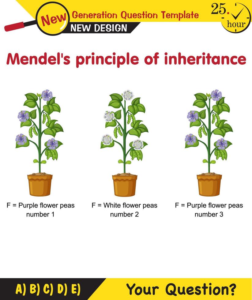 Biology Heredity Combination Mendelian Genetics Heredity Peas Experiment Genotype