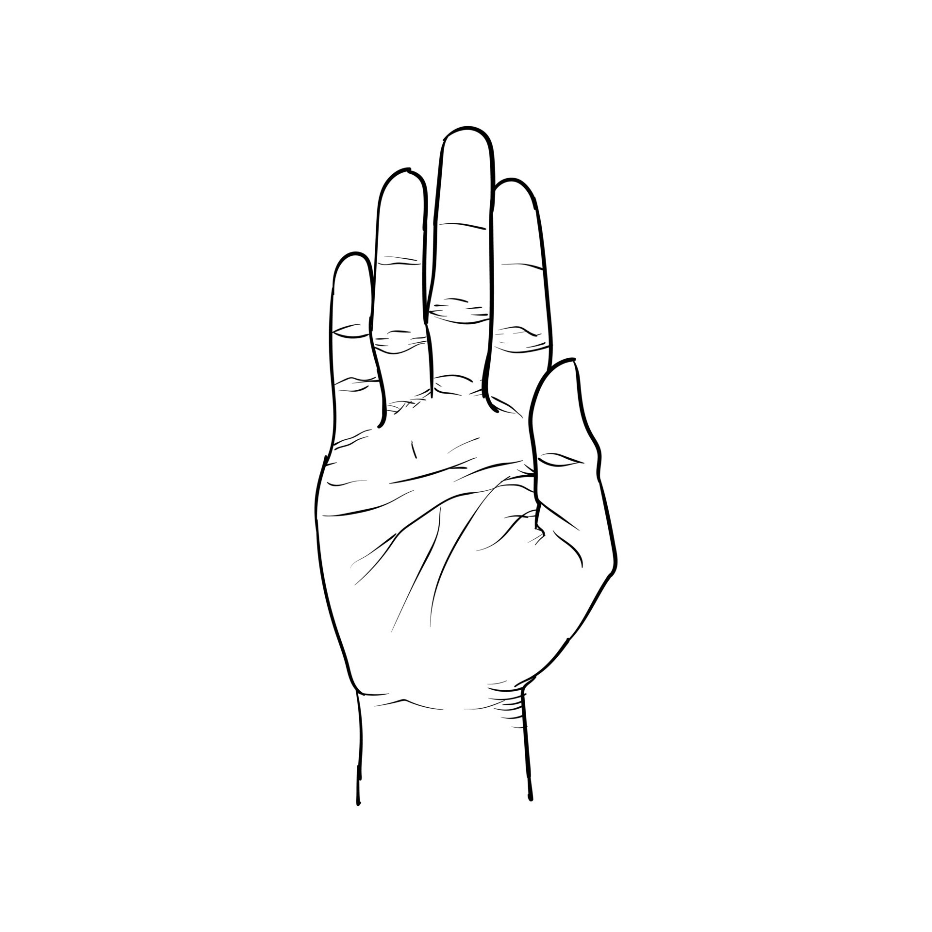Hand Draw Logo Icon And Vector 12484472 Vector Art At Vecteezy