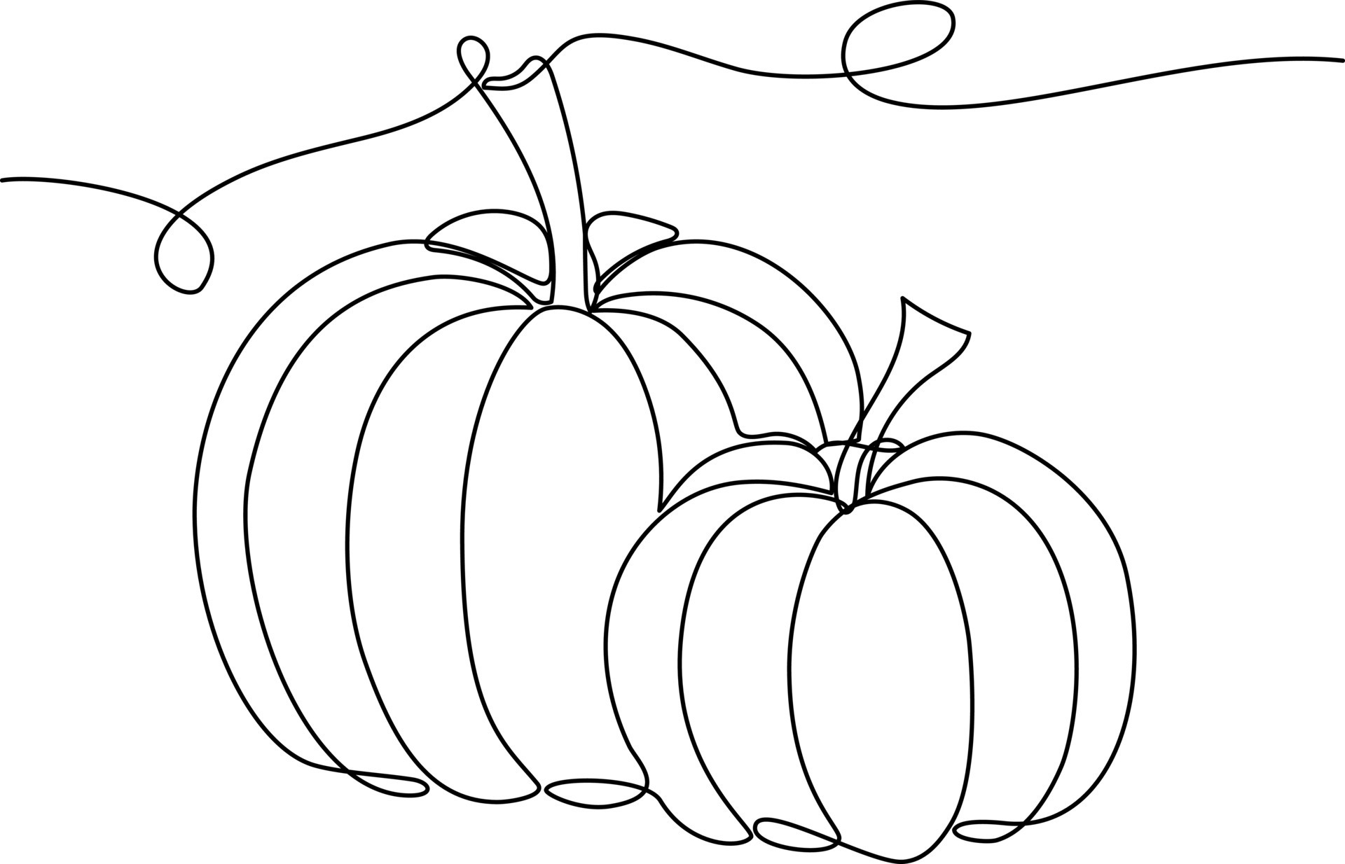 Trendy contour pumpkins continuous line drawing 12485104 Vector Art at ...