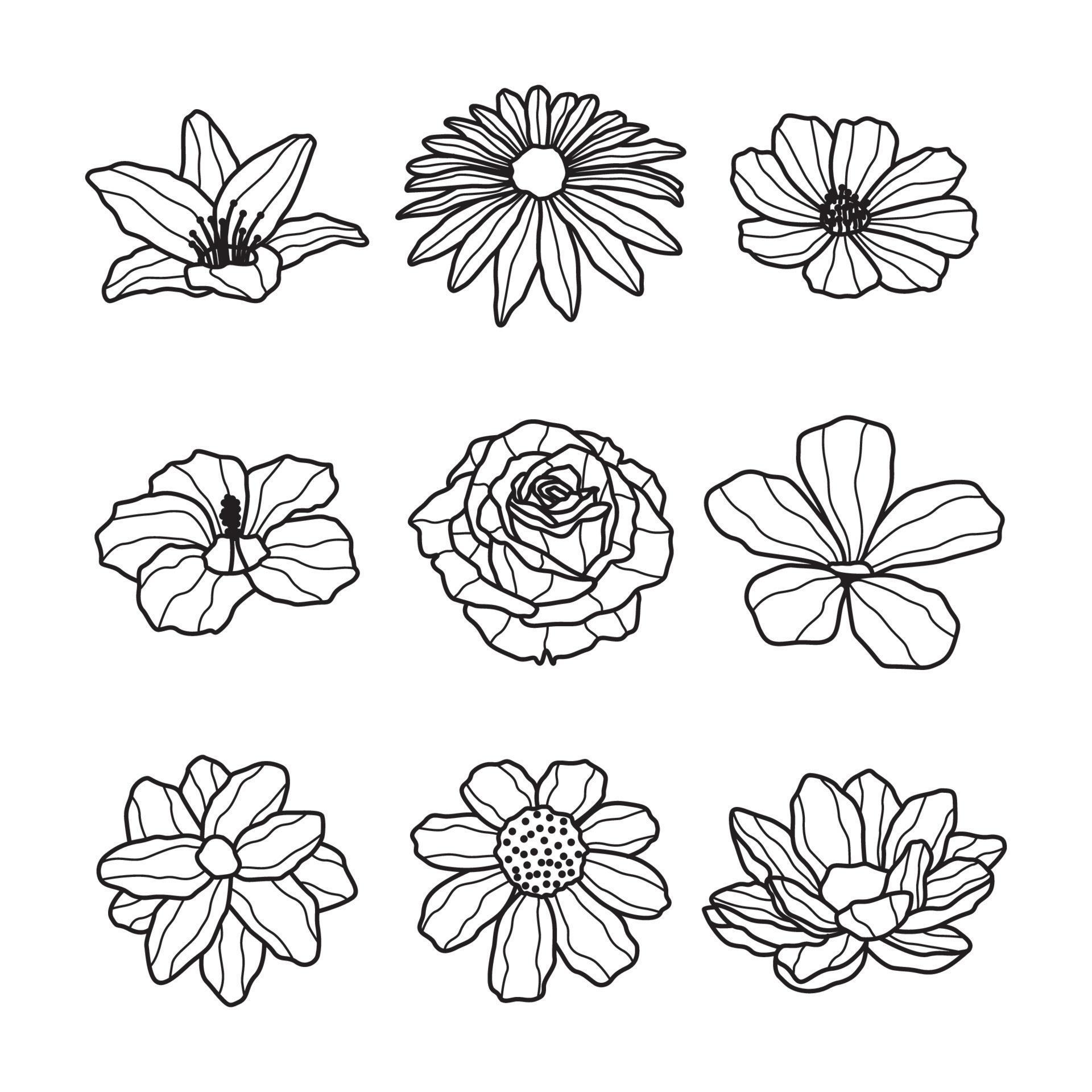 Hand Drawn Realistic Flowers in Line Art Set 12491474 Vector Art at ...