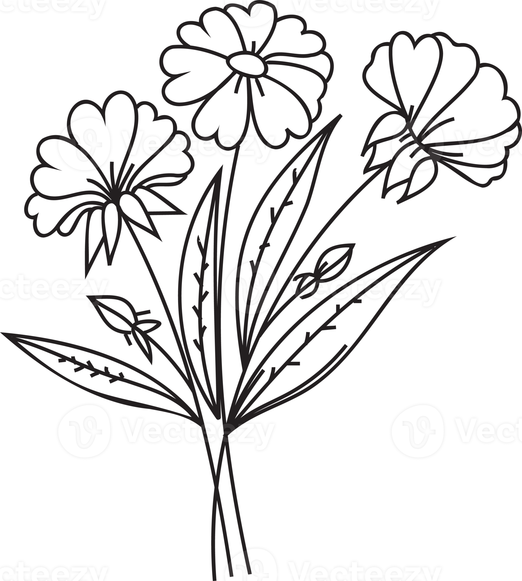 Flower line art illustration with black thin line. PNG with transparent ...