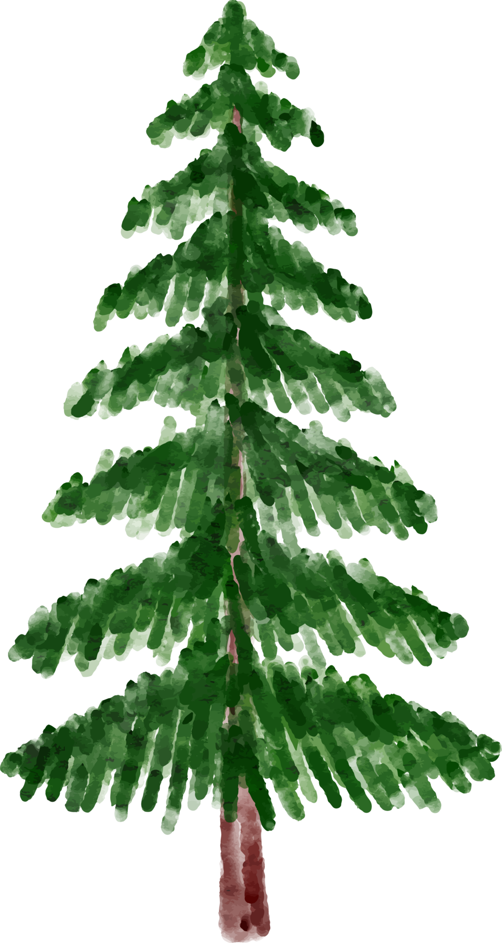 Christmas Watercolor Pine Tree 12500274 Png