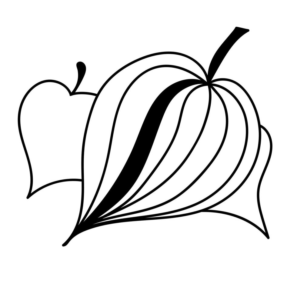 Hand Drawn Leaves Doodle Vector Illustration 12506581 Vector Art At
