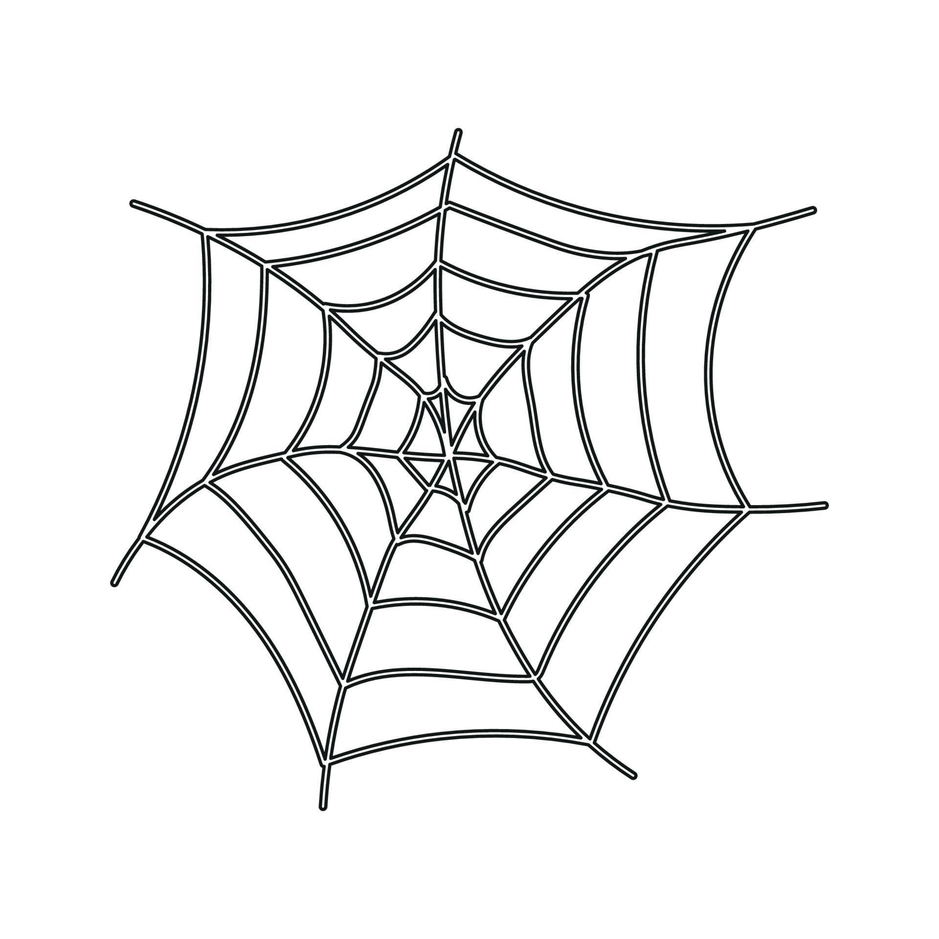 Abstract Spider Web For Web Backdrop Design Grunge Texture 12507522 Vector Art At Vecteezy 4220