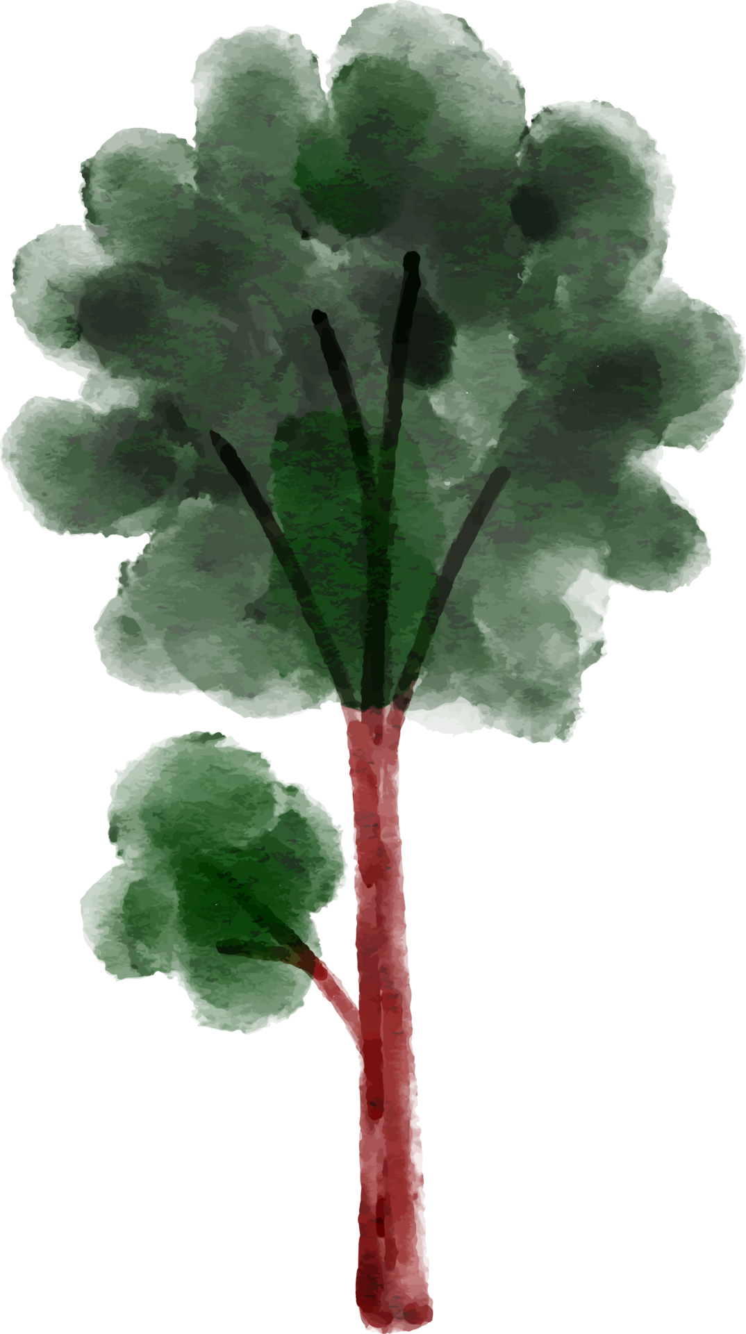 Watercolor Tree element 12521262 PNG