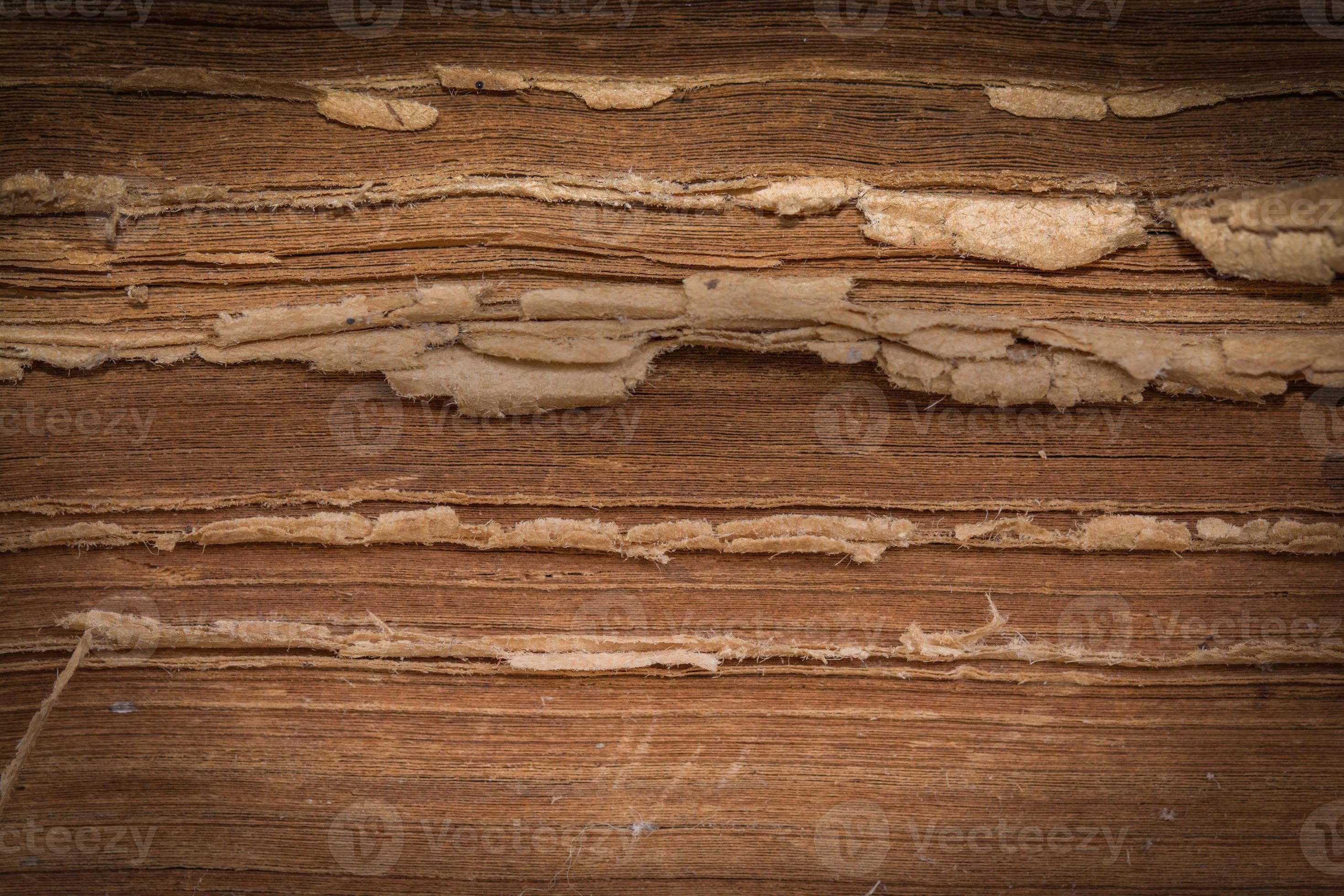 Stack Of Paper Texture