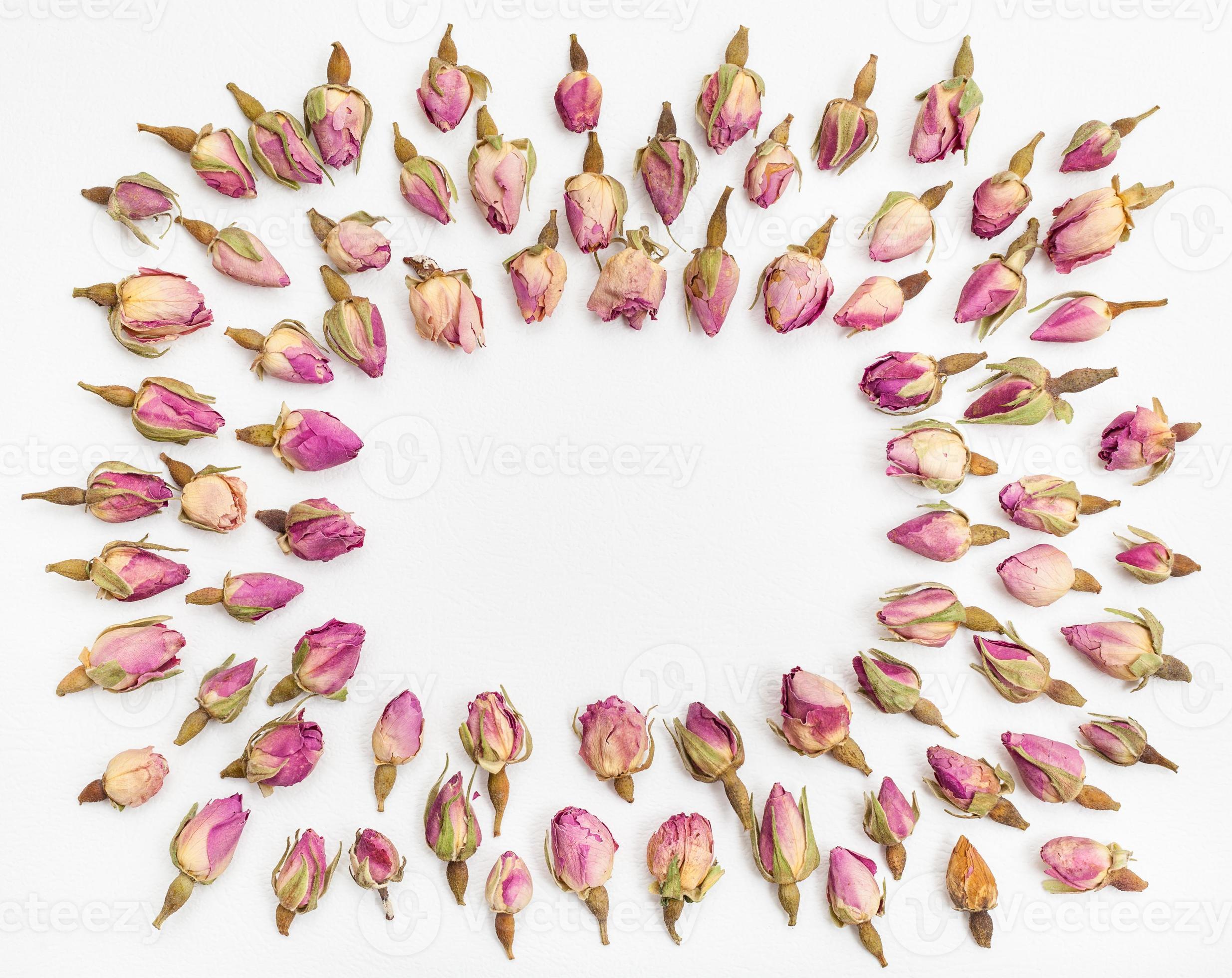 frame from many pink rose flower buds on white 12575937 Stock Photo at ... frame from many pink rose flower buds on white 12575937 Stock Photo at ...