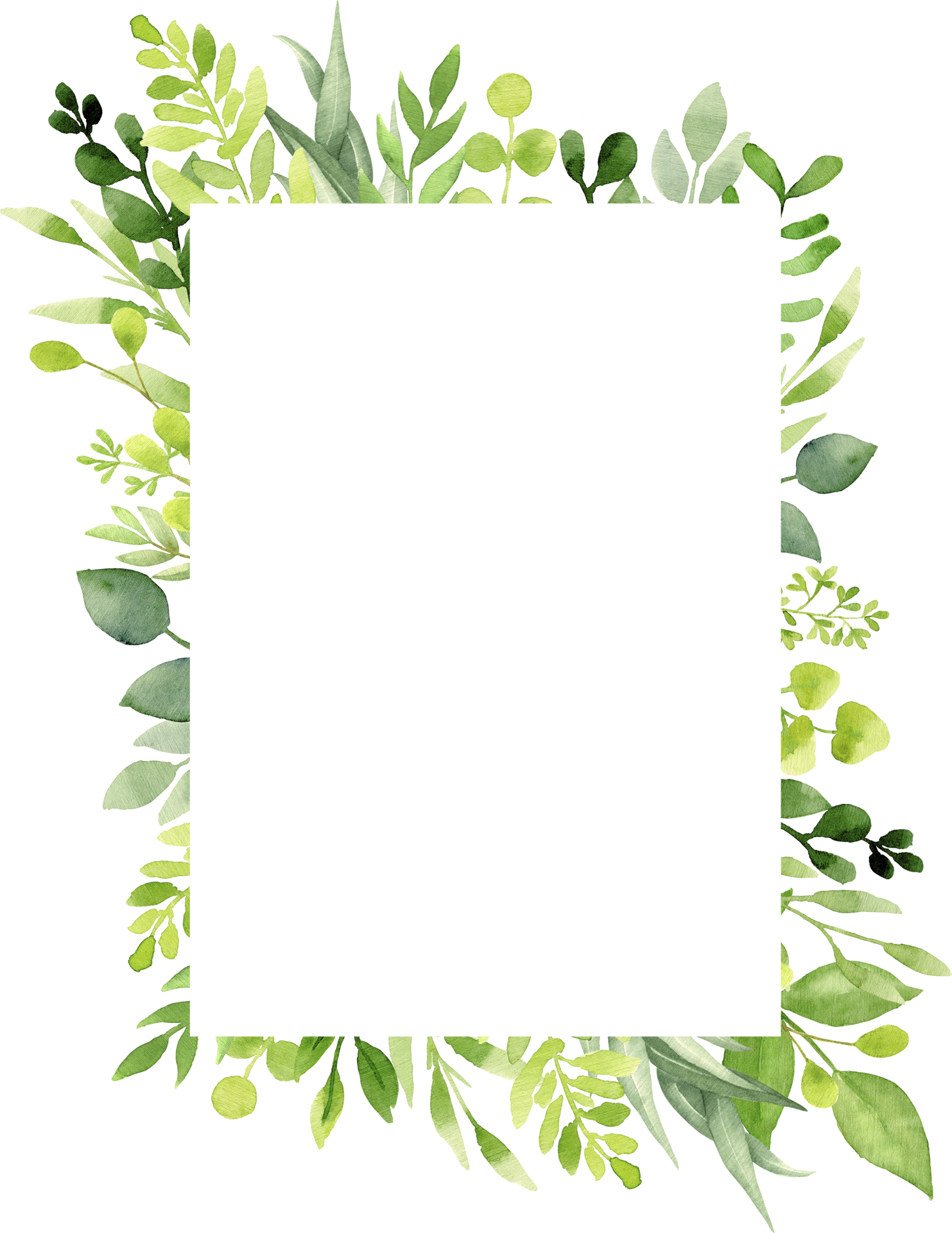 Watercolor illustration. Botanical greenery label. Green leaves and ...