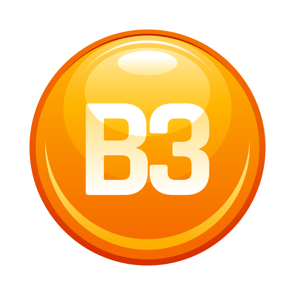 Free Vitamin B3 icon 12598396 PNG with Transparent Background Free Vitamin B3 icon 12598396 PNG with Transparent Background