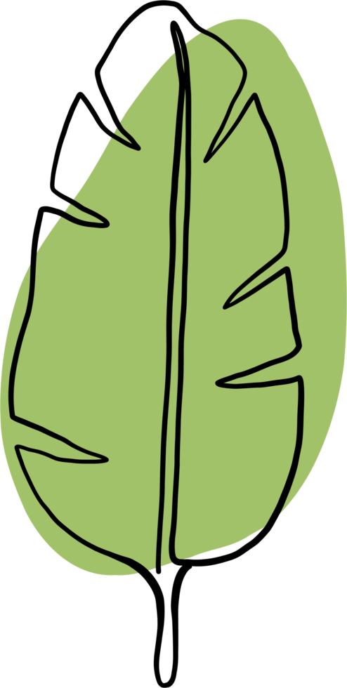 Simplicity Banana Leaf Freehand Continuous Drawing Flat Design 12598486 Png
