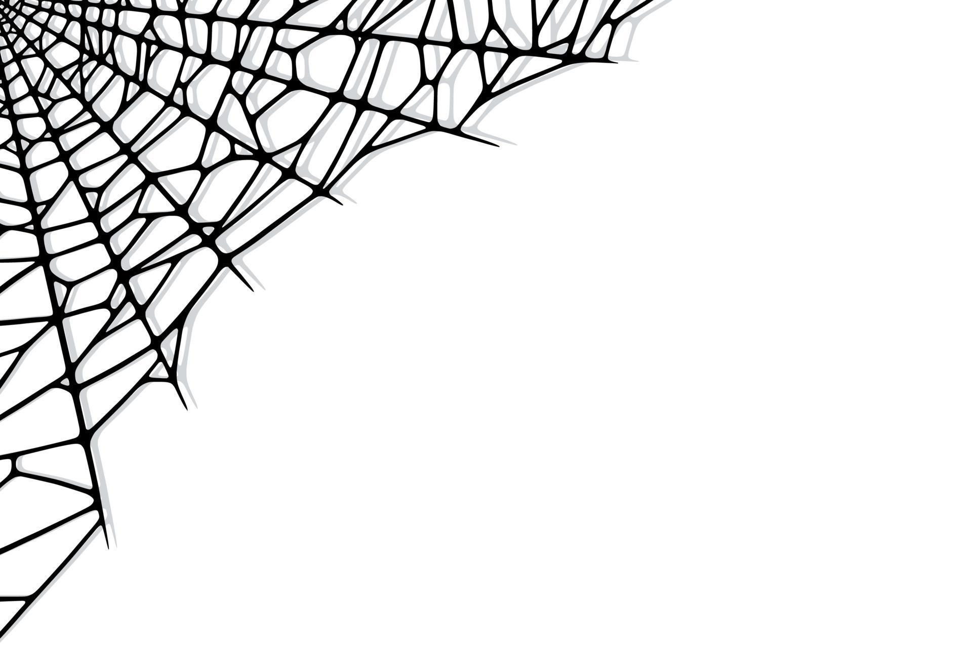 esquina de telaraña sobre fondo blanco. espeluznante telaraña de ... esquina de telaraña sobre fondo blanco. espeluznante telaraña de ...