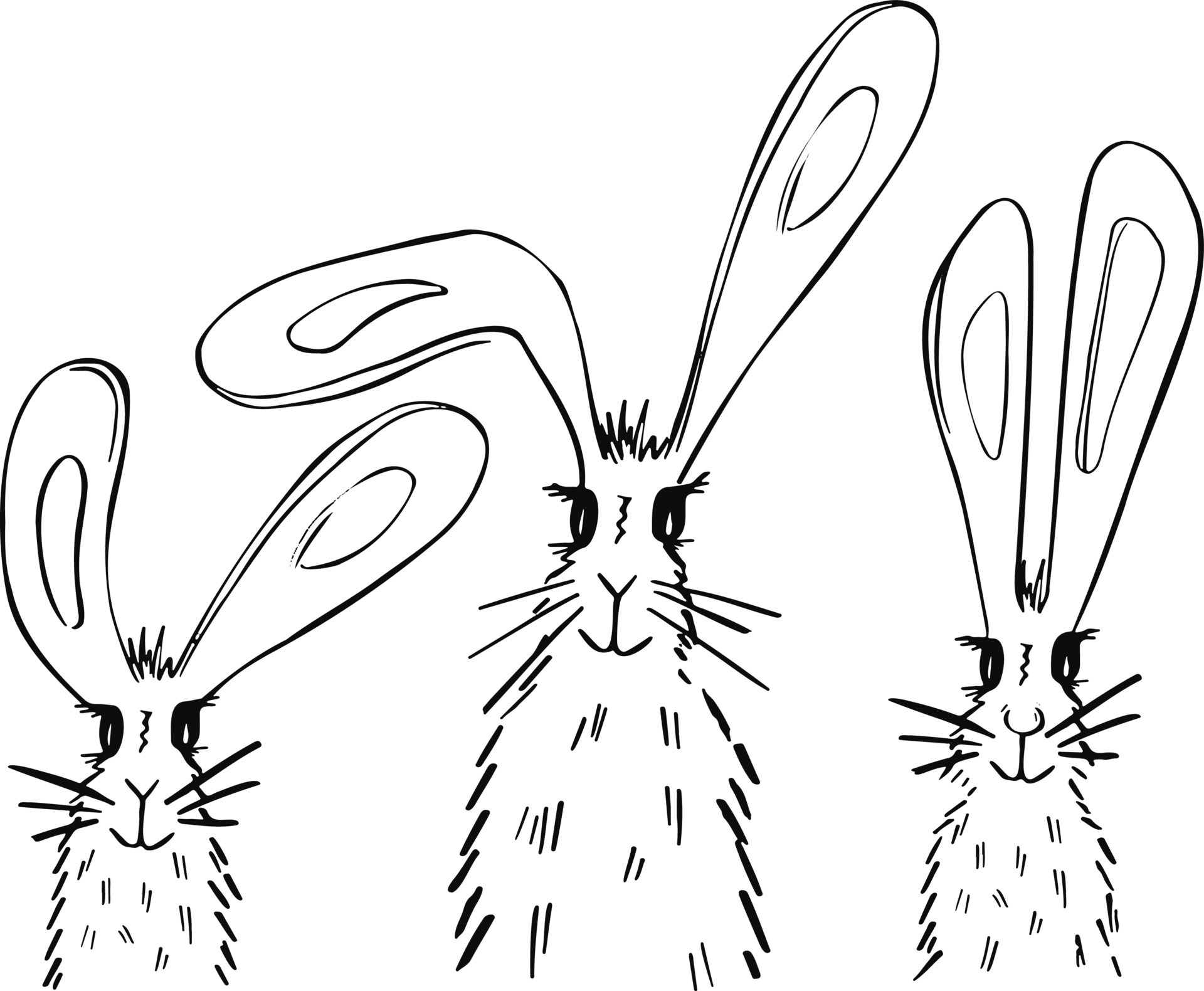 Line Vector Hare Rabbit Symbol Logo Black 12620509 Vector Art At Vecteezy