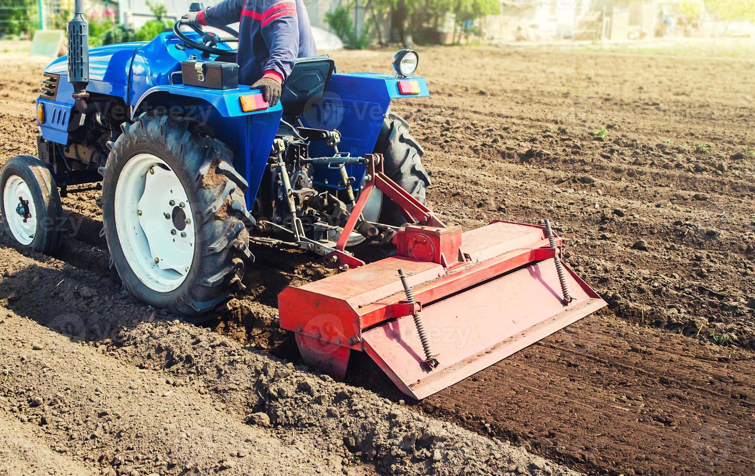 granjero en un tractor cultiva la tierra después de la cosecha. trituración aflojamiento arado ...