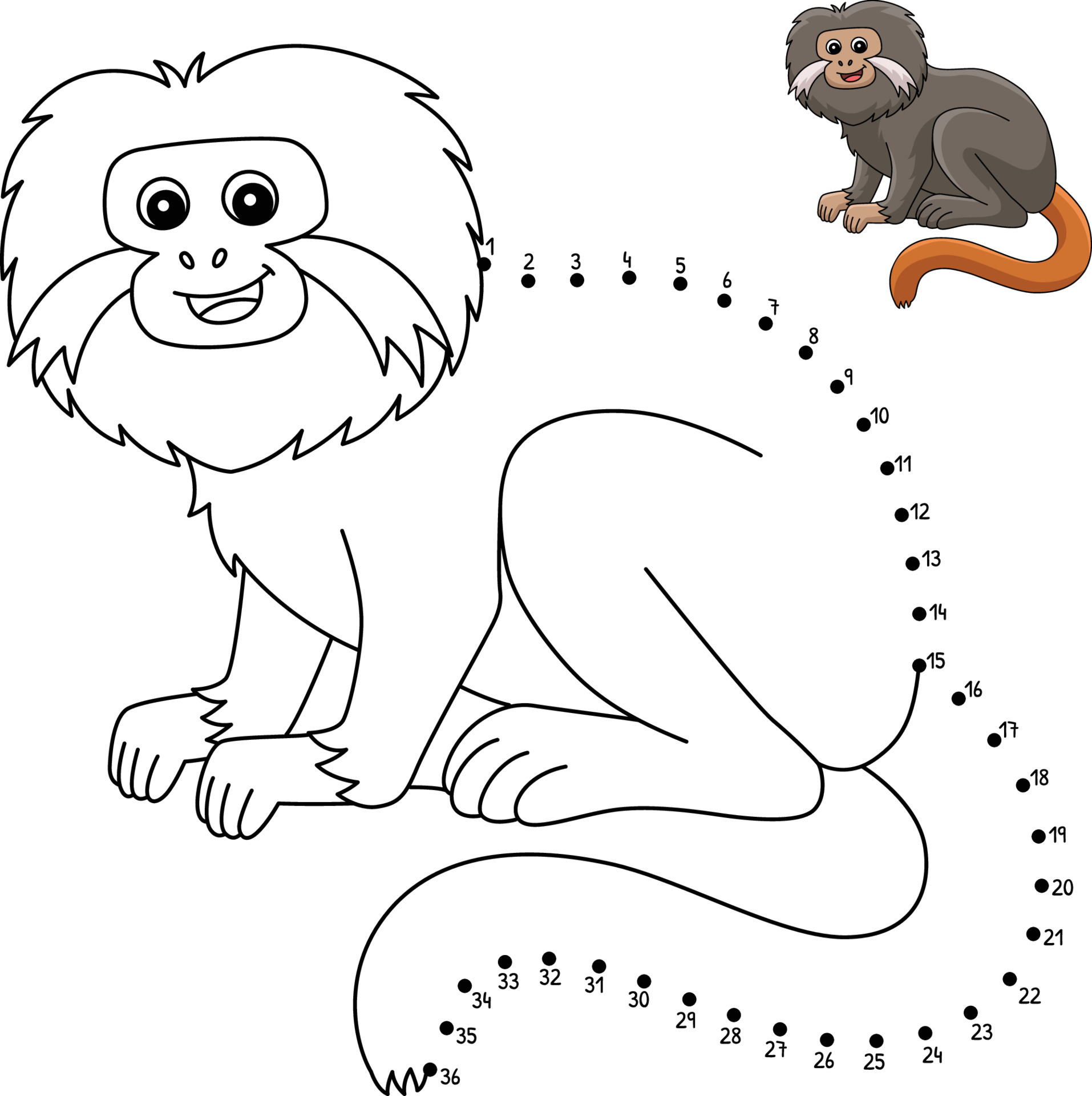 Dot to Dot Tamarin Animal Isolated Coloring Page 12626407 Vector Art at ... Dot to Dot Tamarin Animal Isolated Coloring Page 12626407 Vector Art at ...