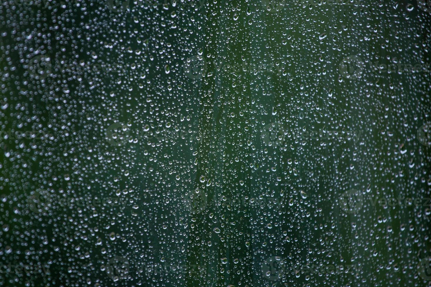 Abstract background of wet window glass with rain water drops. Summer green blurred backdrop and ...