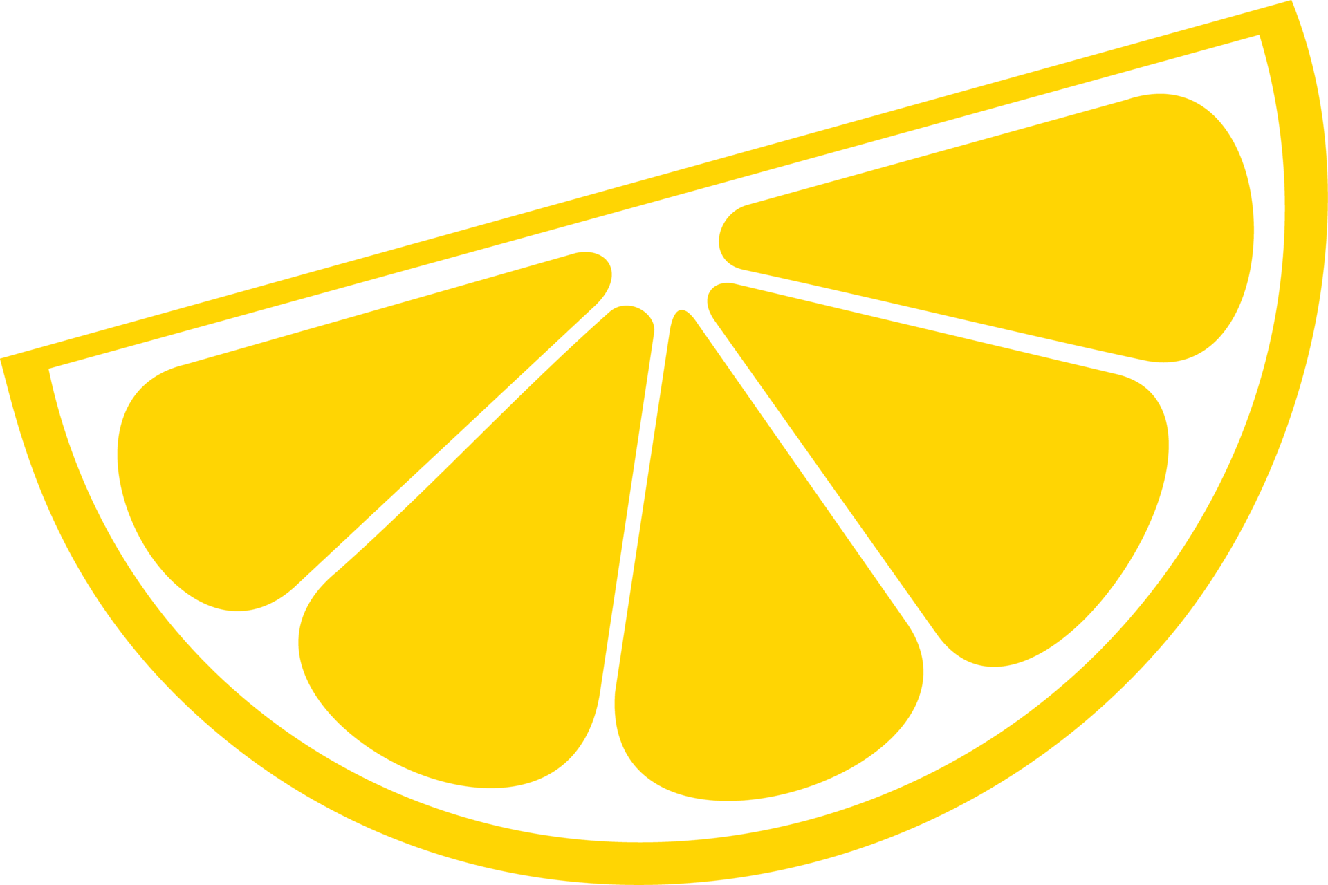Lemon Slice Color 12638343 PNG Lemon Slice Color 12638343 PNG