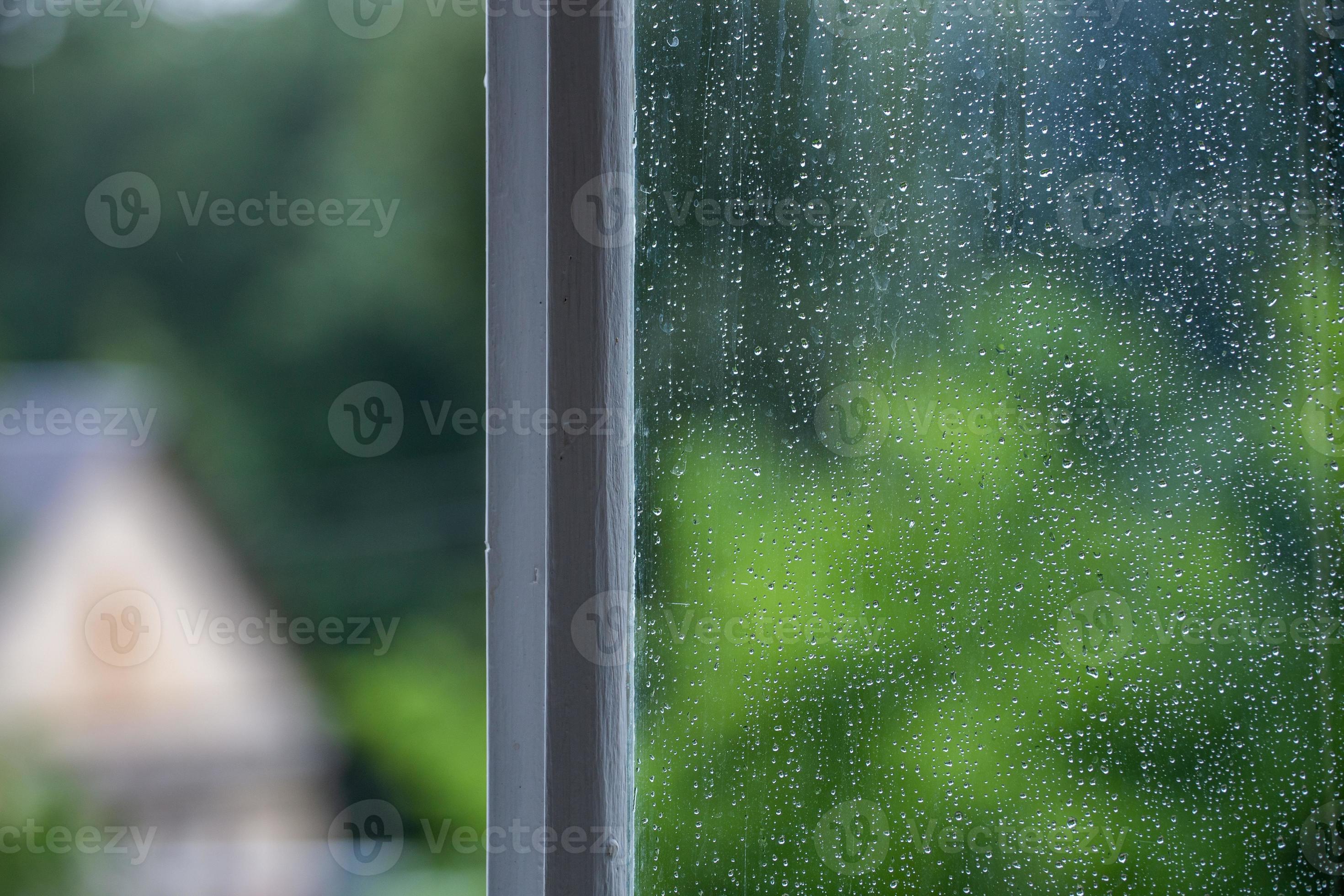 Abstract background of wet window glass with rain water drops. Summer green blurred backdrop and ...
