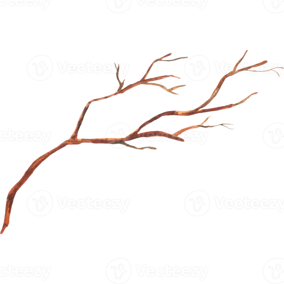 Watercolor autumn branch without leaves 12658699 PNG