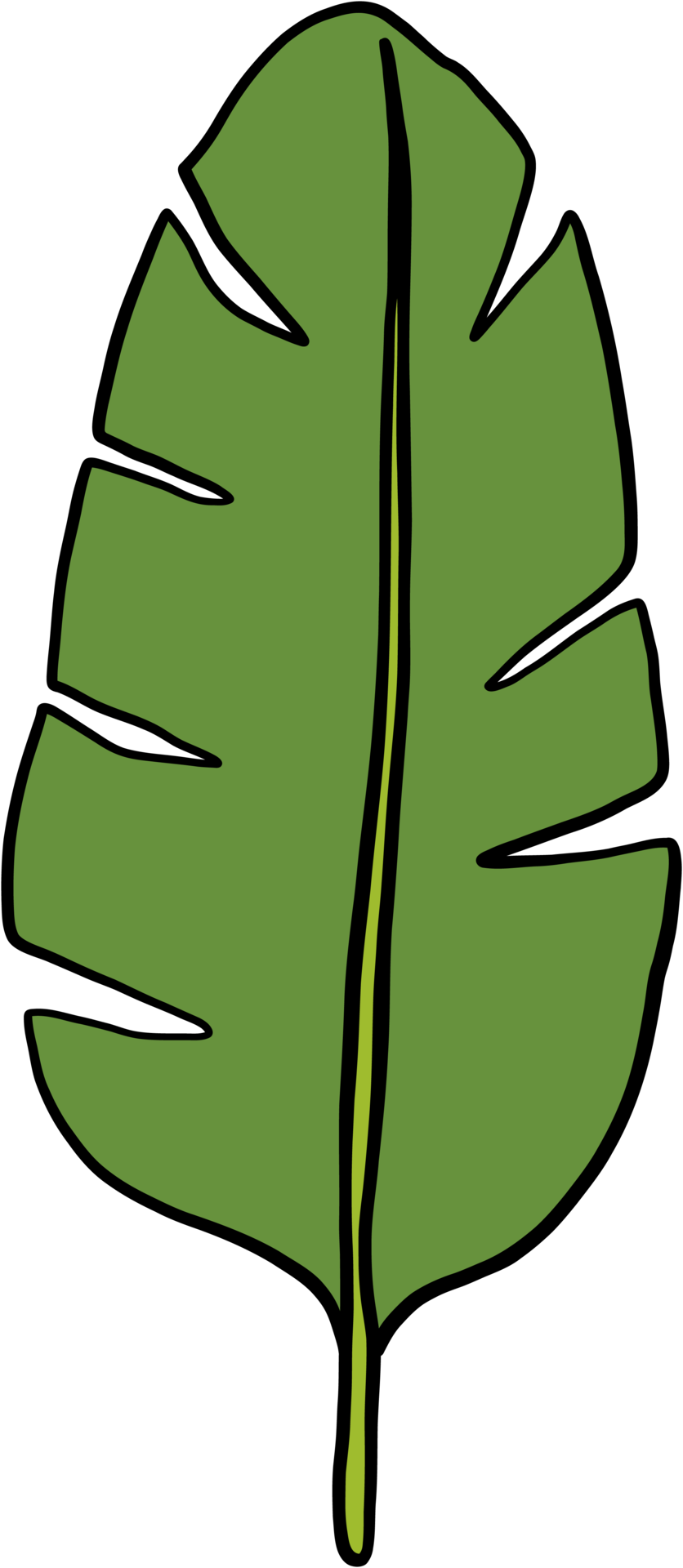 Simplicity Banana Leaf Freehand Continuous Drawing Flat Design