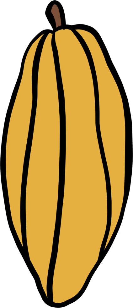Doodle Dibujo A Mano Alzada De Fruta De Cacao 12664439 Png