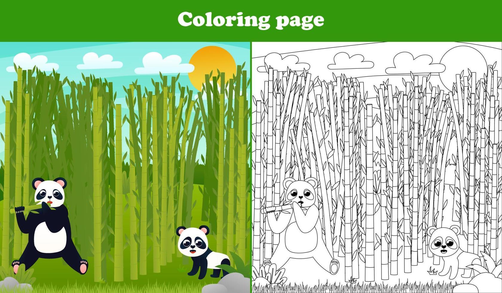 Panda Bear Drawing For Kids