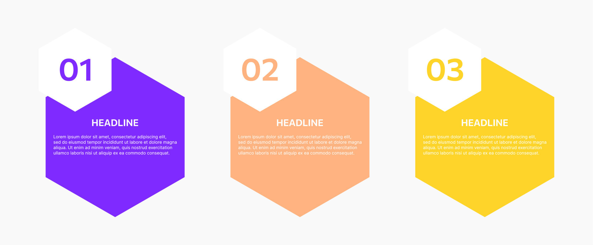 Business infographic timeline with 3 steps option. Business infographic template. Presentation ...