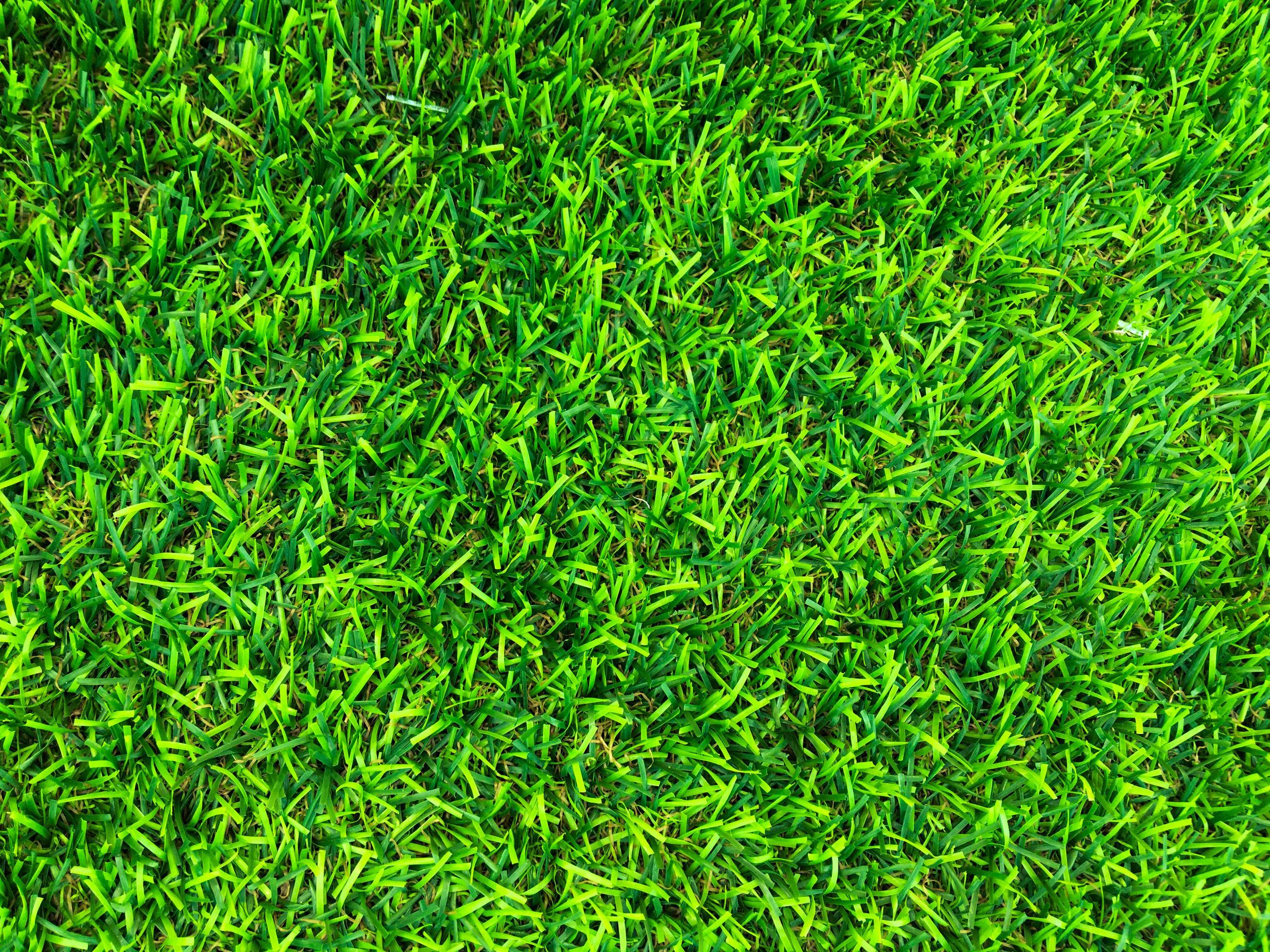 Beautiful Green Grass Pattern From Golf Course For Background Copy Space For Work And Design