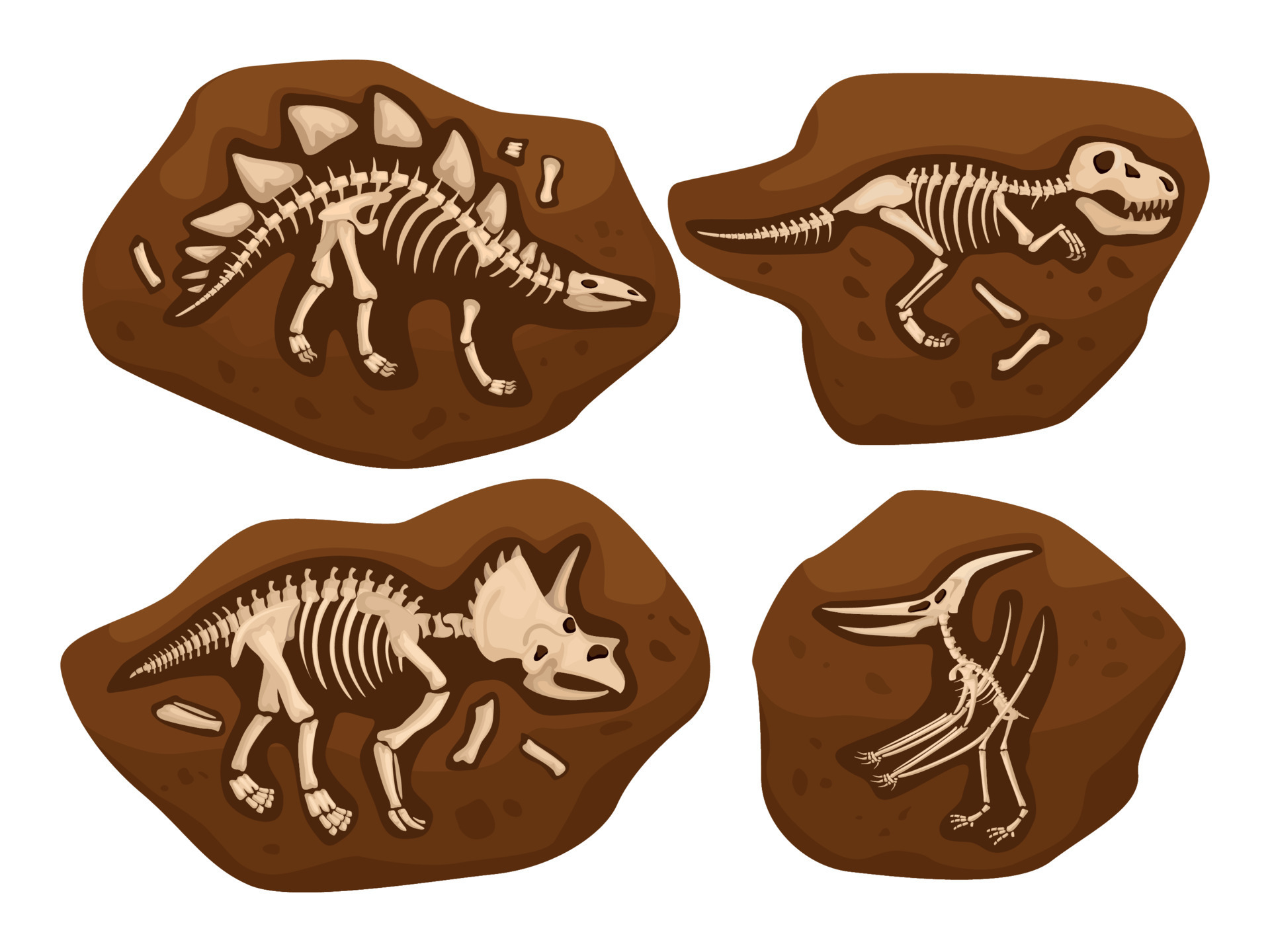 Dinosaur Skeleton Stone Set 12680170 Vector Art At Vecteezy