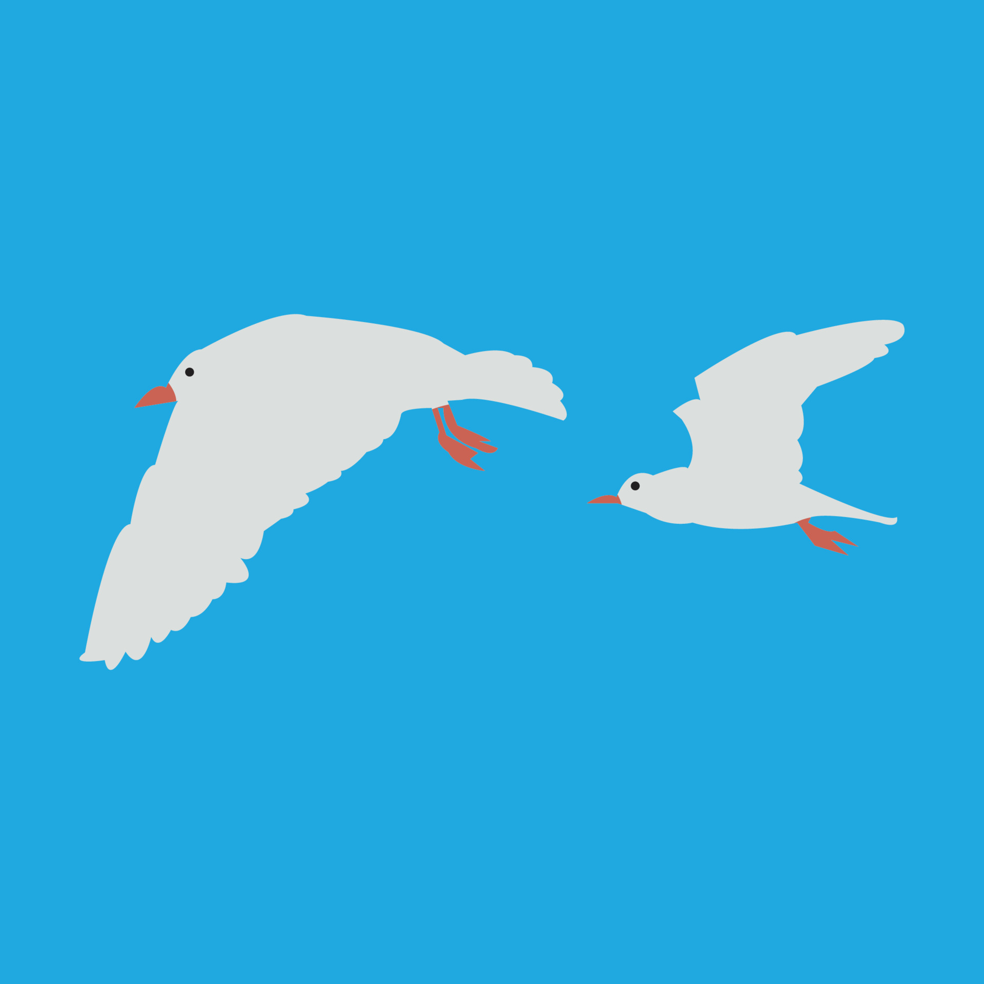 Flying Bird Vector Illustration 12704966 Vector Art at Vecteezy