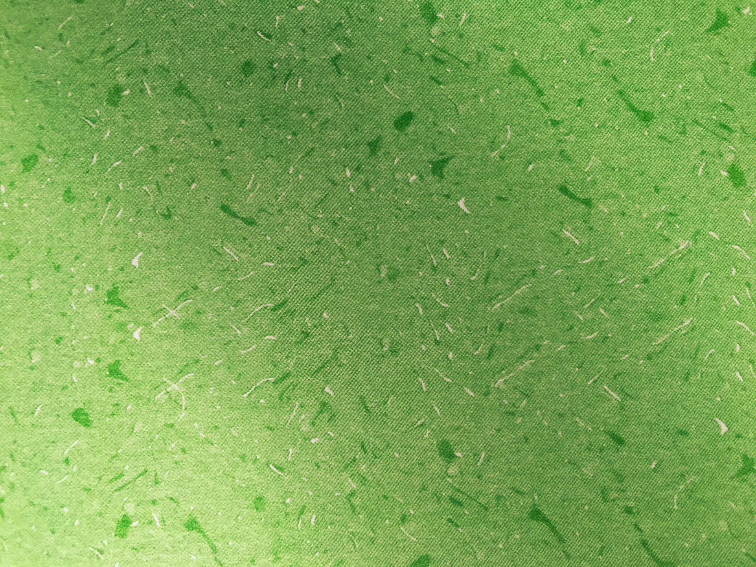 light green paper page texture background with pattern for design. Top ...