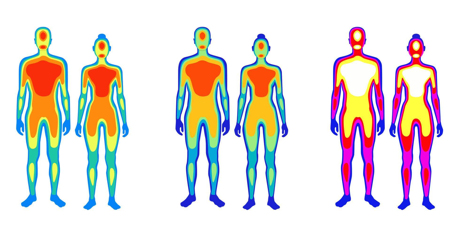 Set Of Cartoon Body Warmth Thermogram Man And Woman Vector Flat Illustration Collection Of