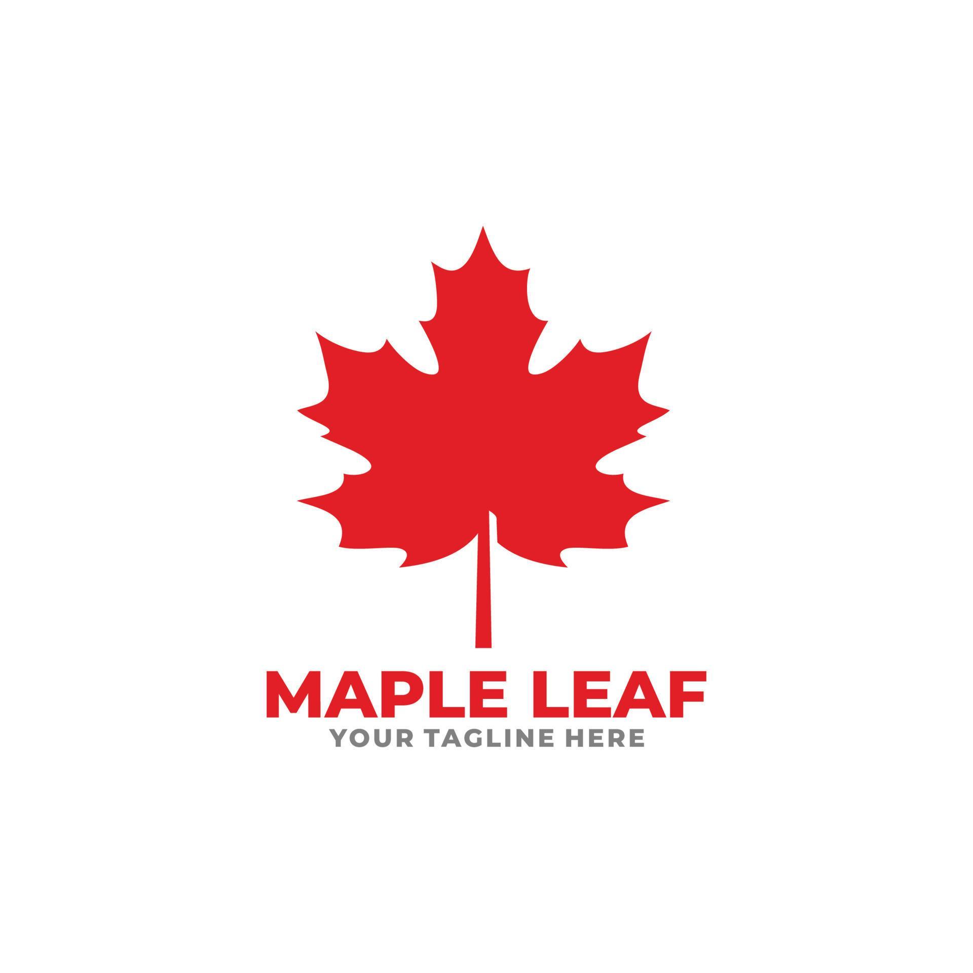Maple leaf logo design vector 12708454 Vector Art at Vecteezy