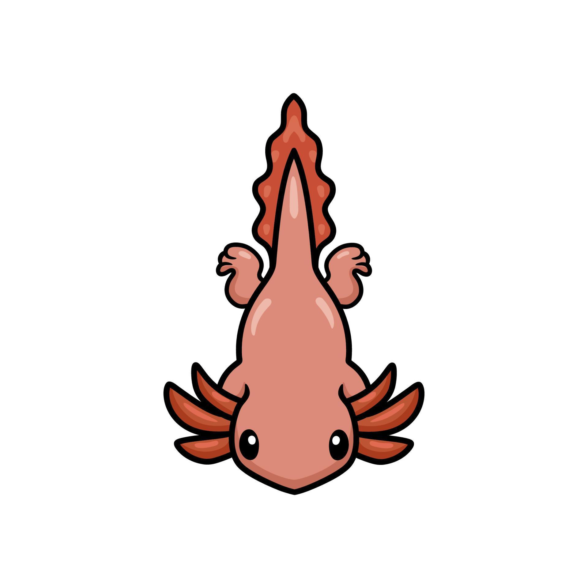 Cute axolotl cartoon swimming. Vector illustration 12710494 Vector Art at Vecteezy
