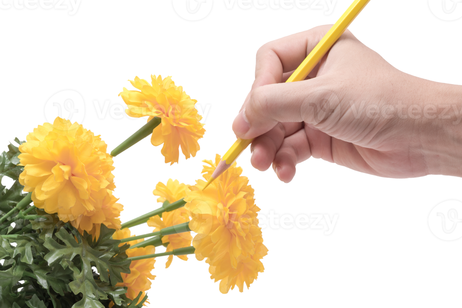 Hand holding colored pencils paint flower 12716616 PNG Hand holding colored pencils paint flower 12716616 PNG