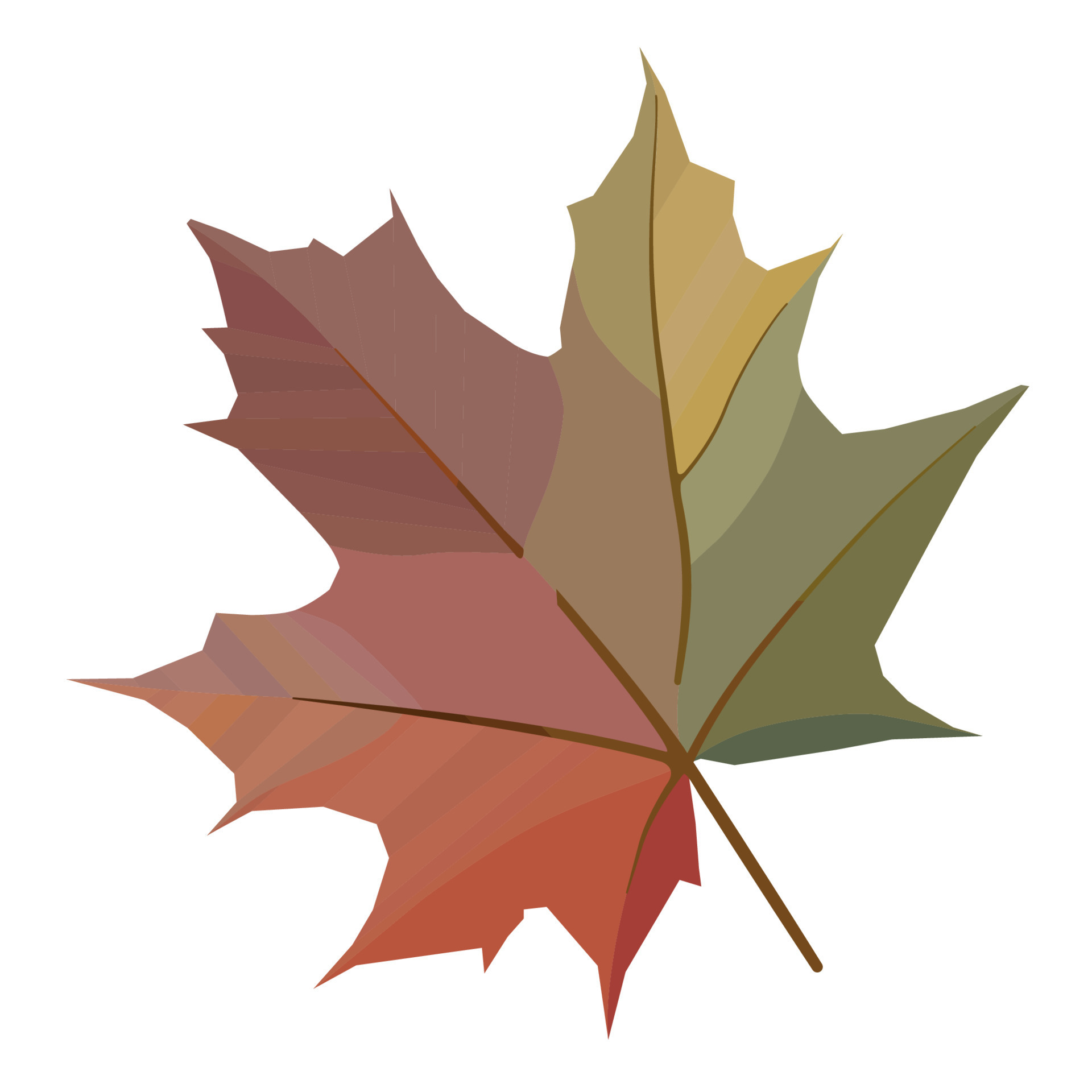 Maple Leaf. Autumn leaf. Vector image. 12773459 Vector Art at Vecteezy