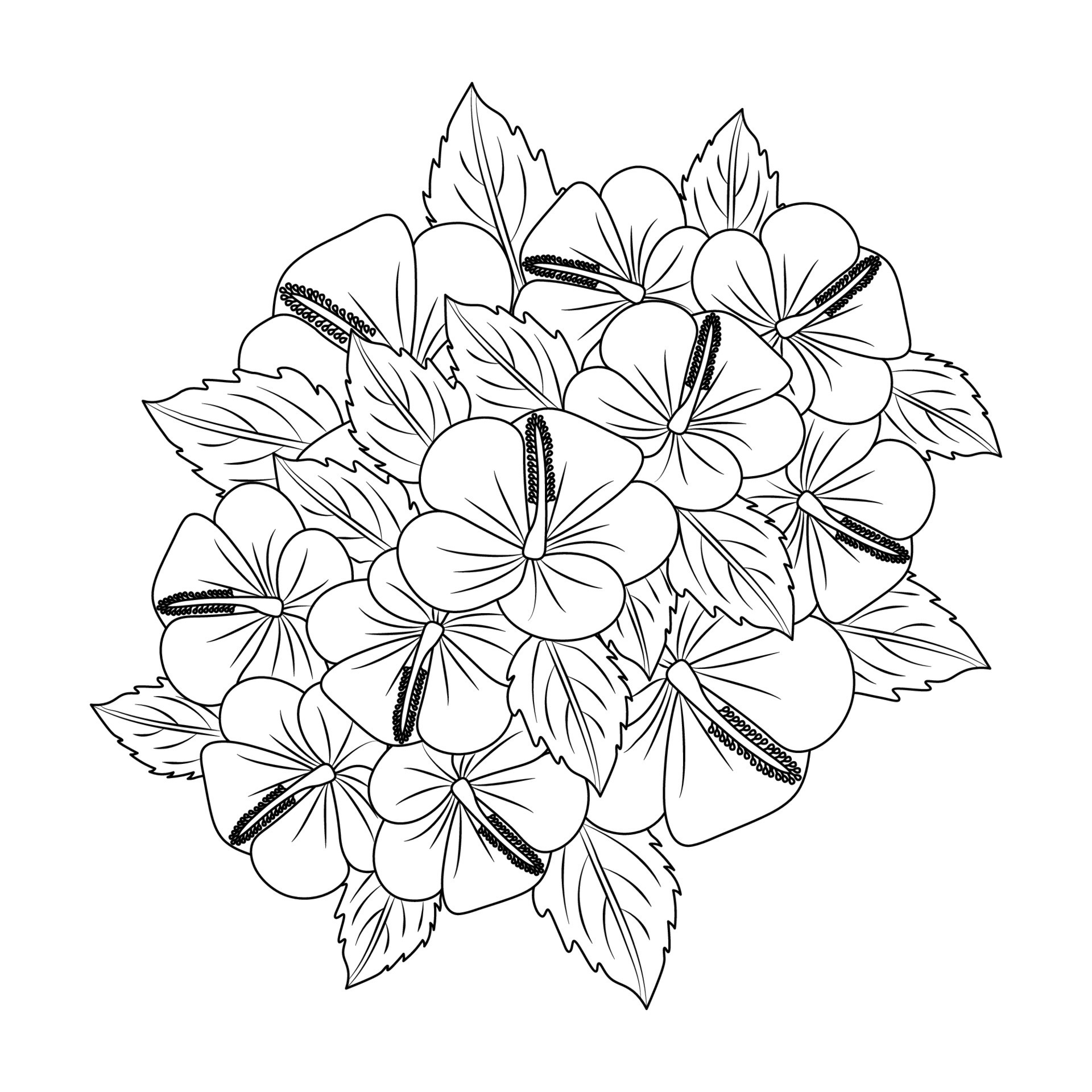 Hibiscus Syriacus Flower Or Common Hibiscus Flower Coloring Page Of