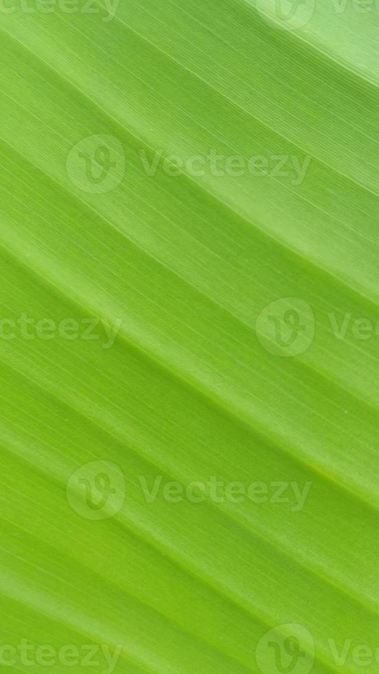 Page 8 | Single Line Pattern Stock Photos, Images and Backgrounds for ...