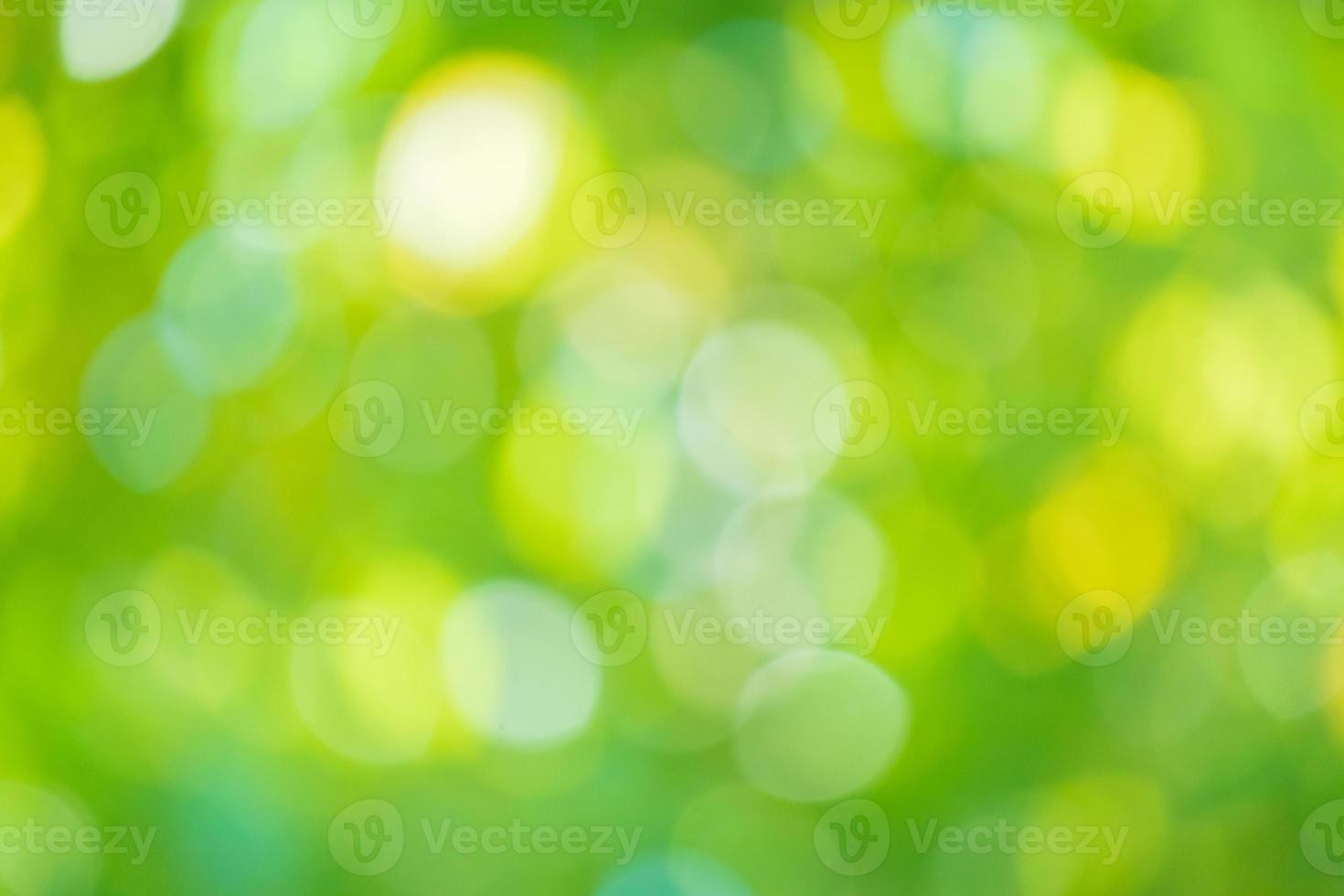 Abstract blur green leaf bokeh nature background 12801730 Stock Photo at Vecteezy