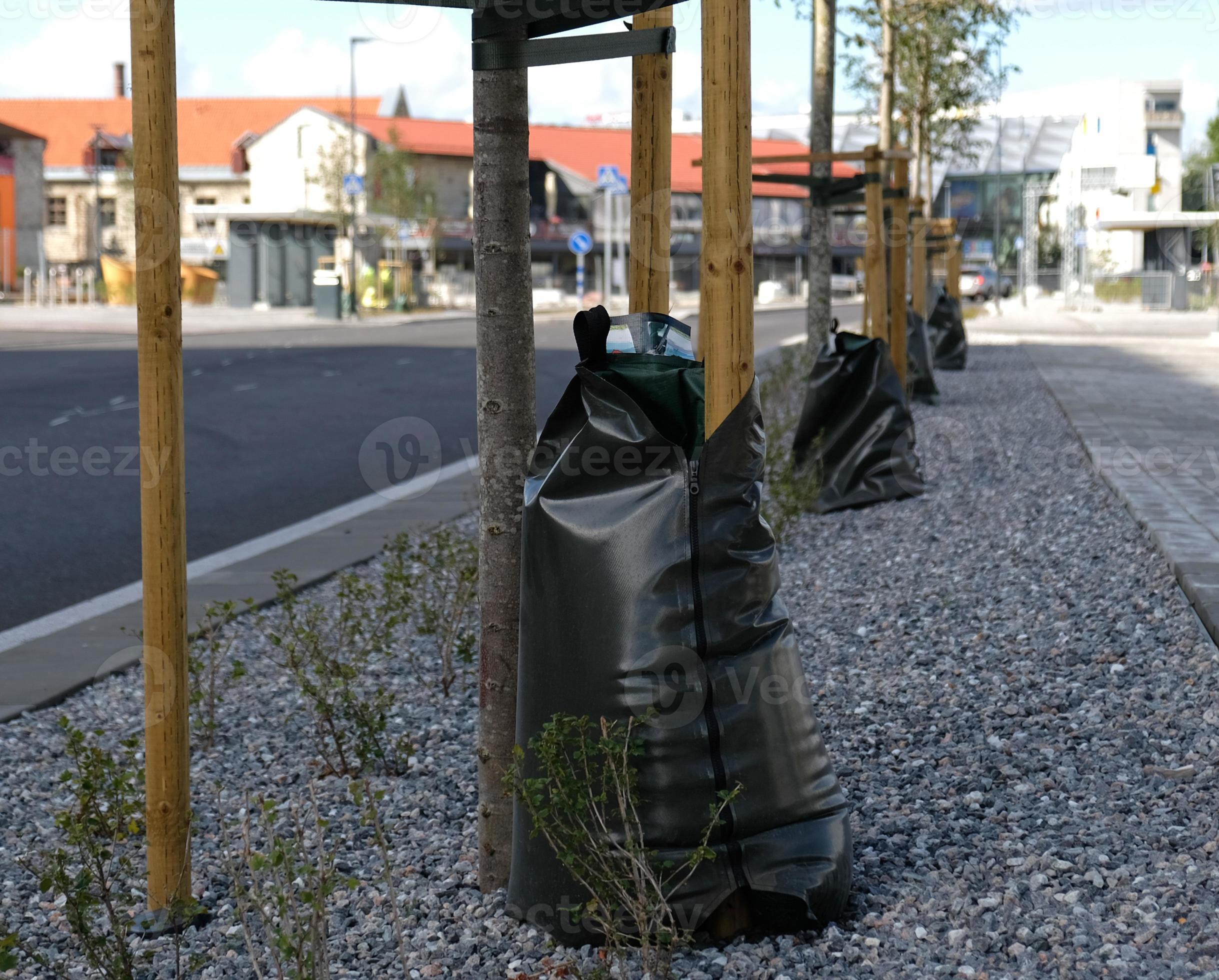 Watering irrigation bag tree. Plastic bag with water fixed at tree to ... Watering irrigation bag tree. Plastic bag with water fixed at tree to ...