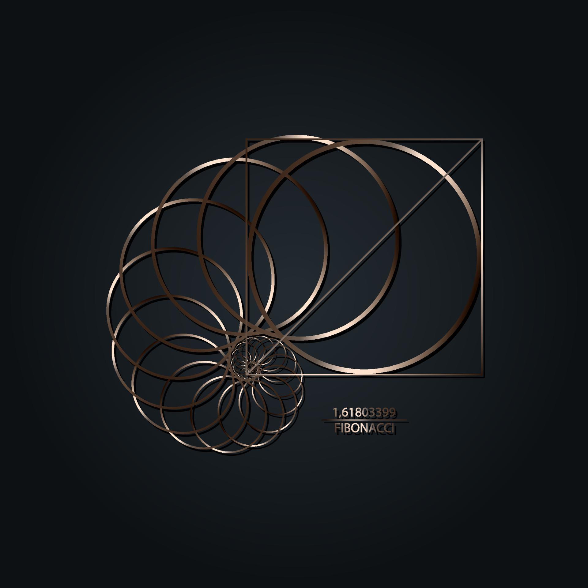 Fibonacci Sequence Circle. Golden ratio. Geometric shapes spiral. Snail ...