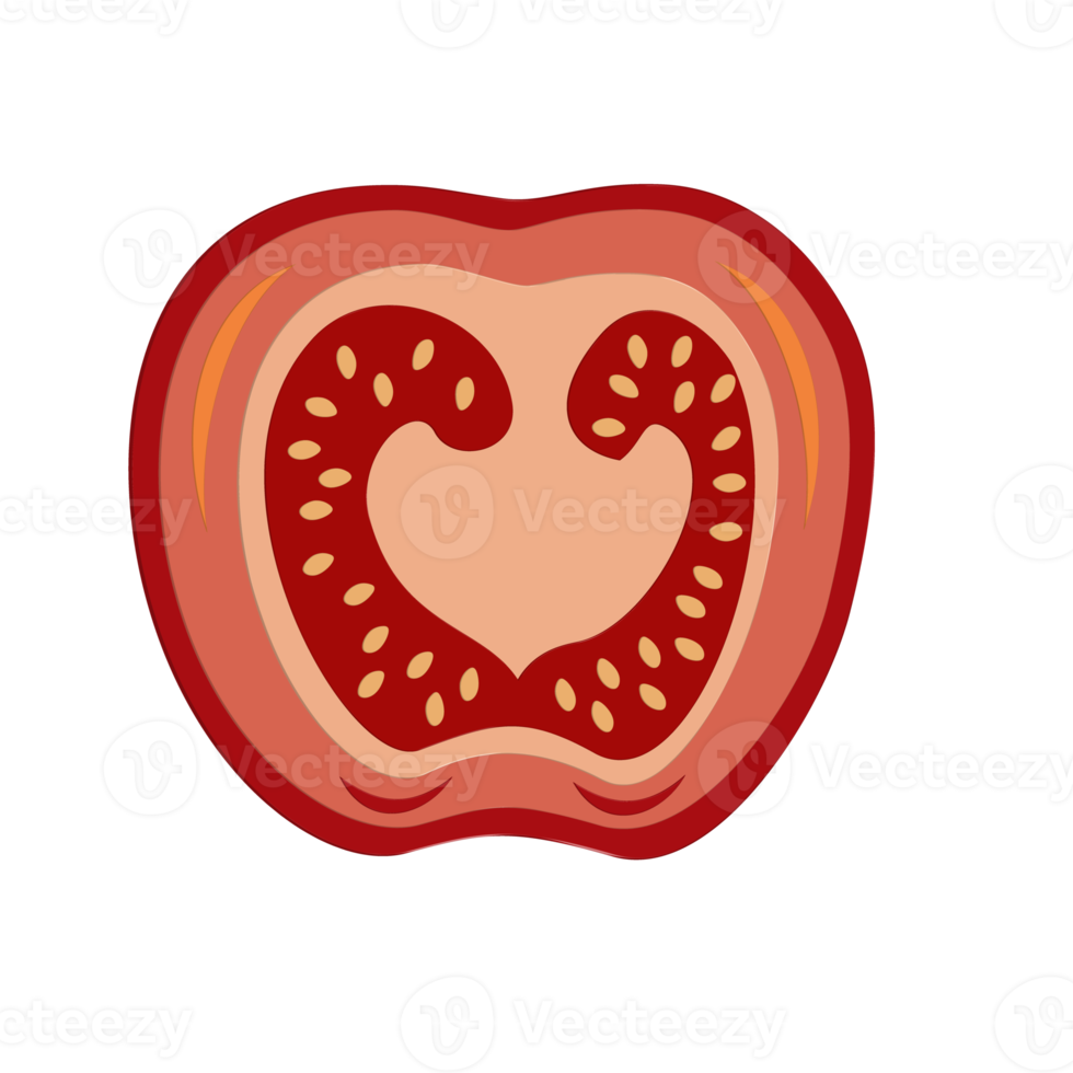 fatia de tomate vermelho 12808645 PNG fatia de tomate vermelho 12808645 PNG
