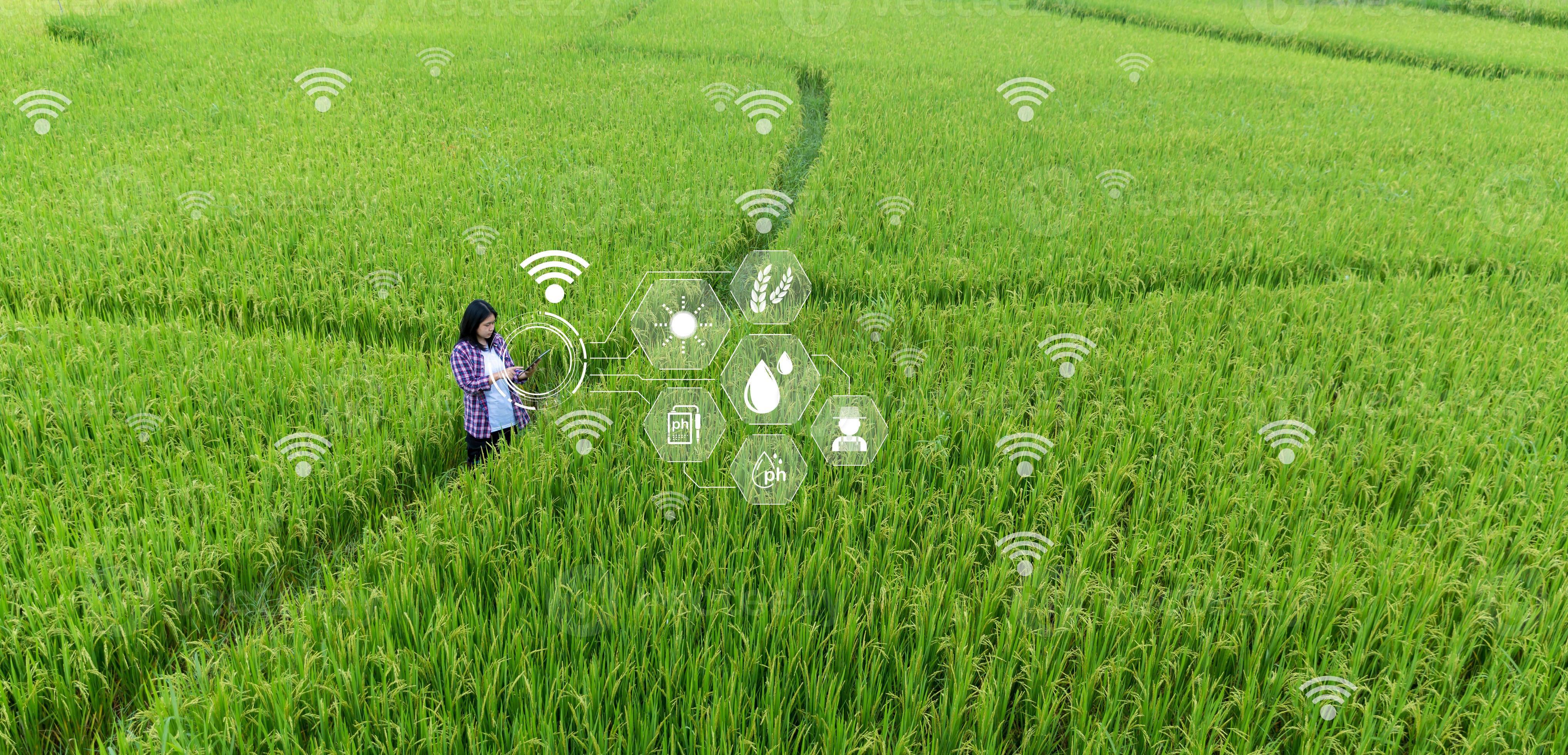 Smart Farming with Internet of Things, IoT concept. Agriculture and ...