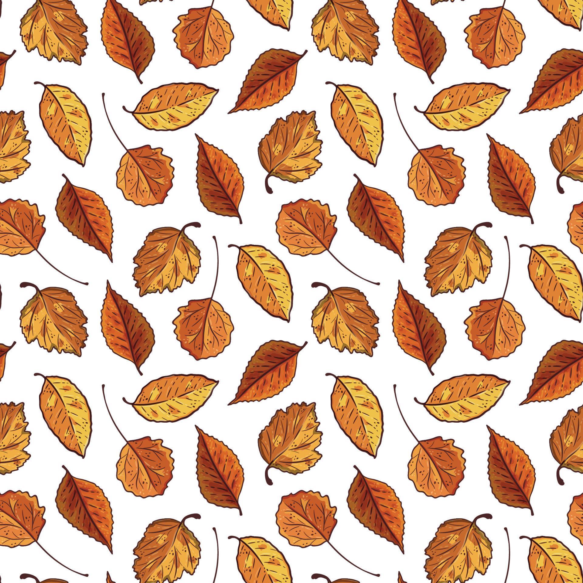 Seamless pattern with autumn color leaves. Fall floral background ...