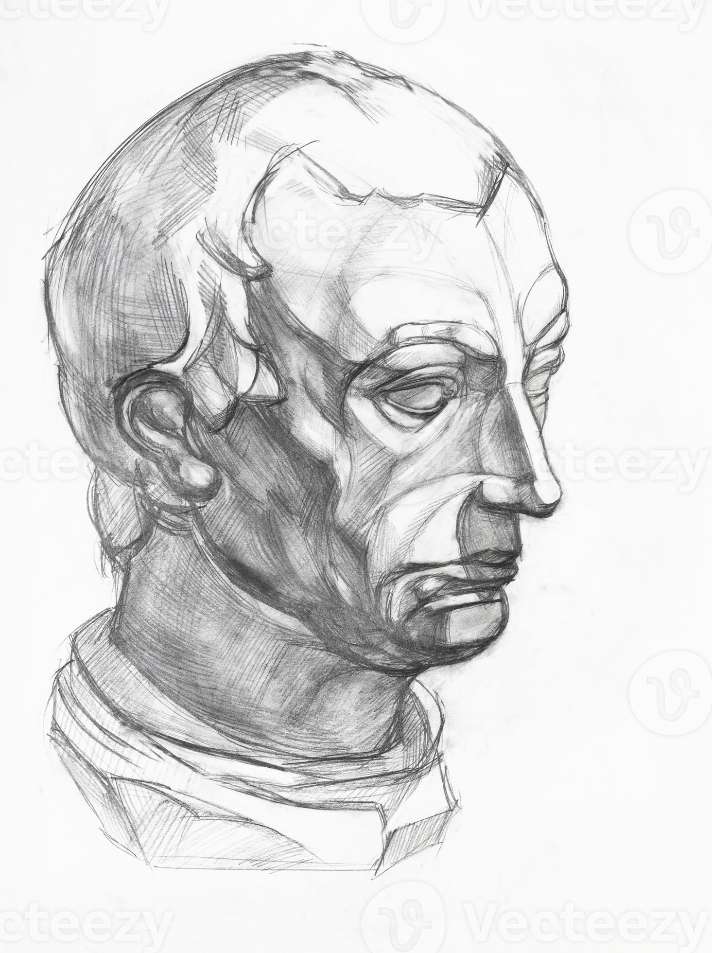 study of plaster cast of Gattamelata head 12836753 Stock Photo at Vecteezy