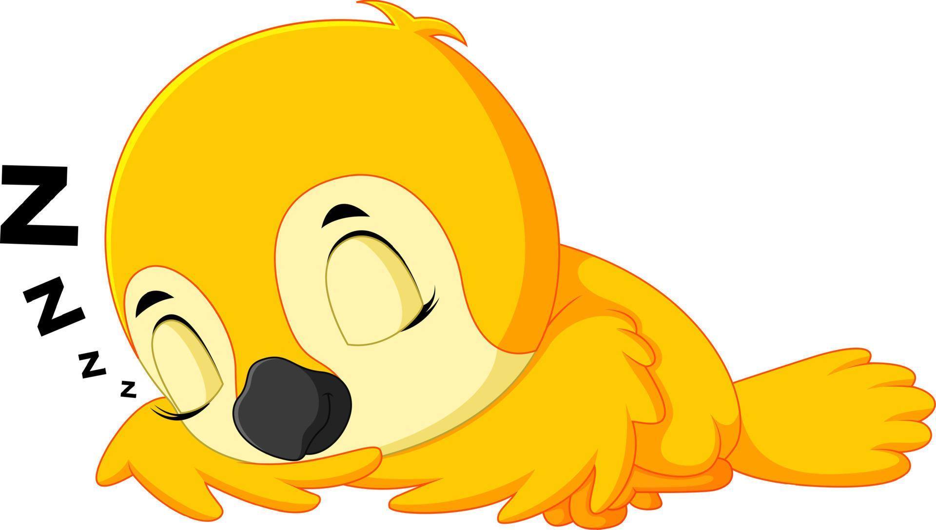 Cute Bird Cartoon 12850326 Vector Art At Vecteezy