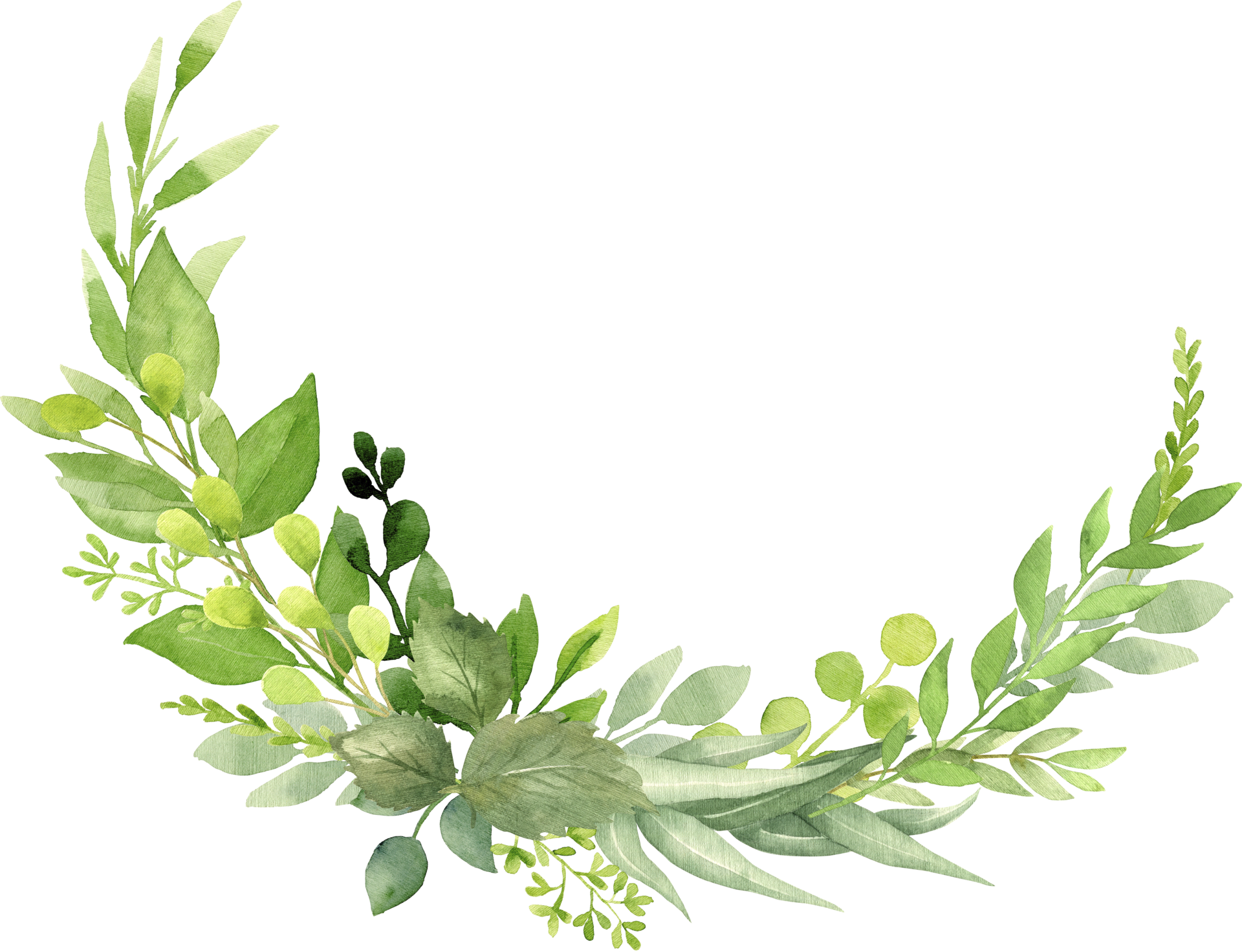 ilustración de acuarela botánica. corona de vegetación con eucalipto ... ilustración de acuarela botánica. corona de vegetación con eucalipto ...