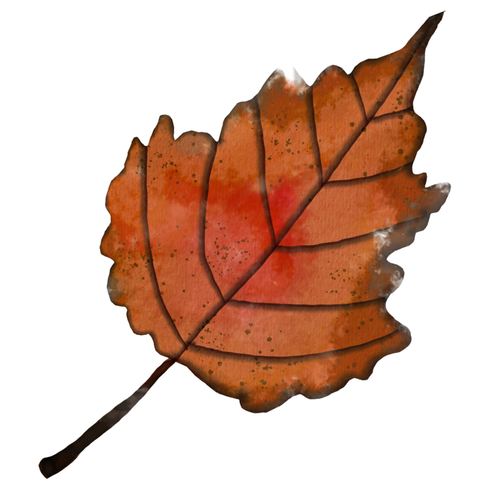 Watercolor Autumn Leaf 12959348 PNG