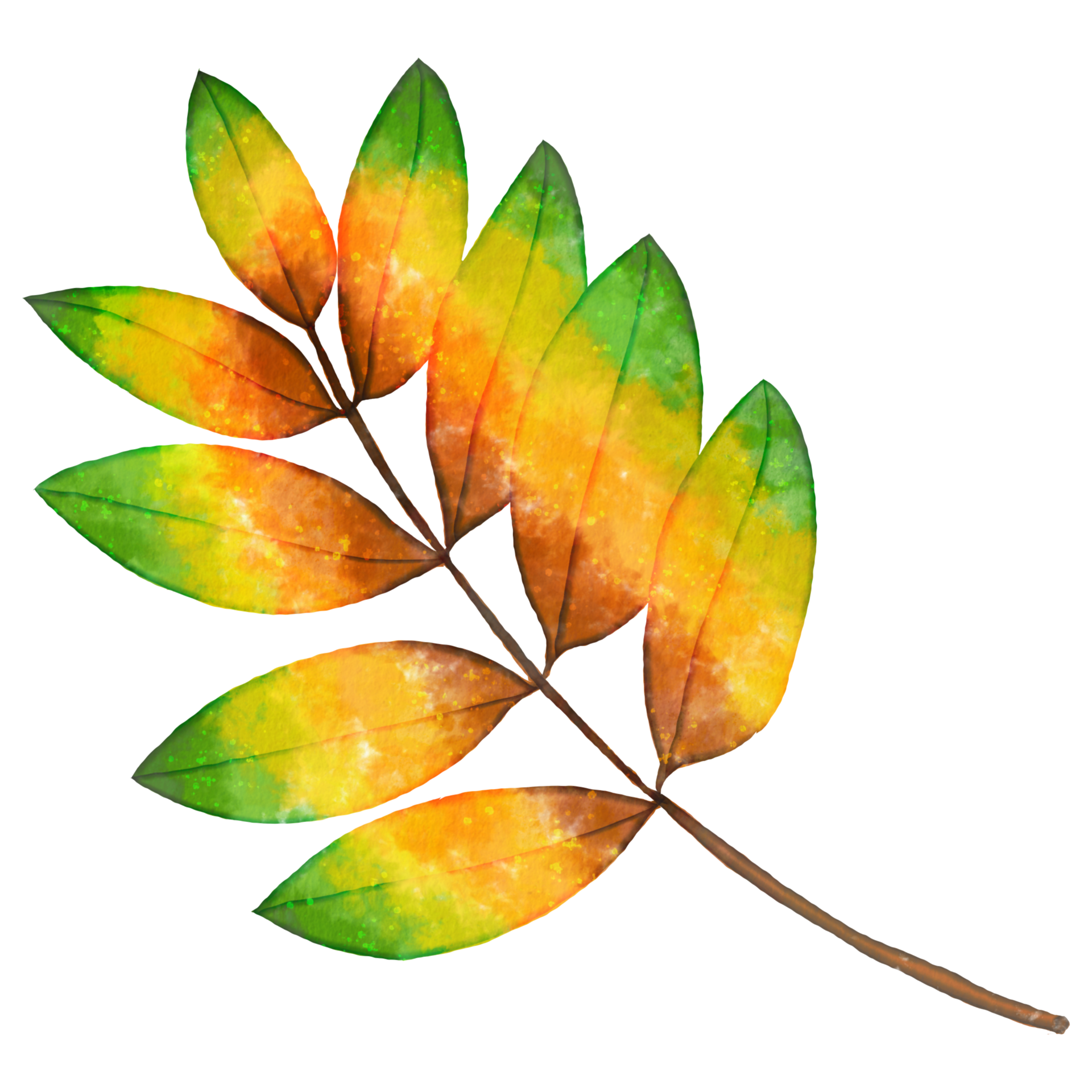 Watercolor Autumn Leaf 12959353 PNG Watercolor Autumn Leaf 12959353 PNG